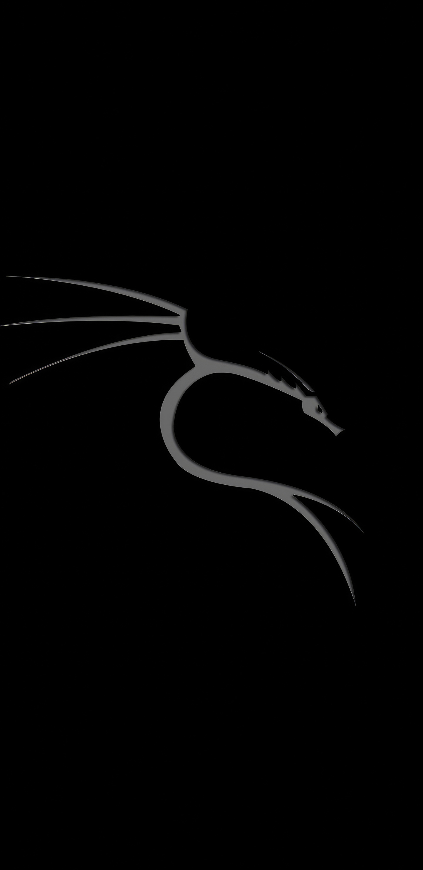 1440x2960 Kali Linux Dragon 4k Samsung Galaxy Note 9,8, S9,S8,S8+ QHD ...
