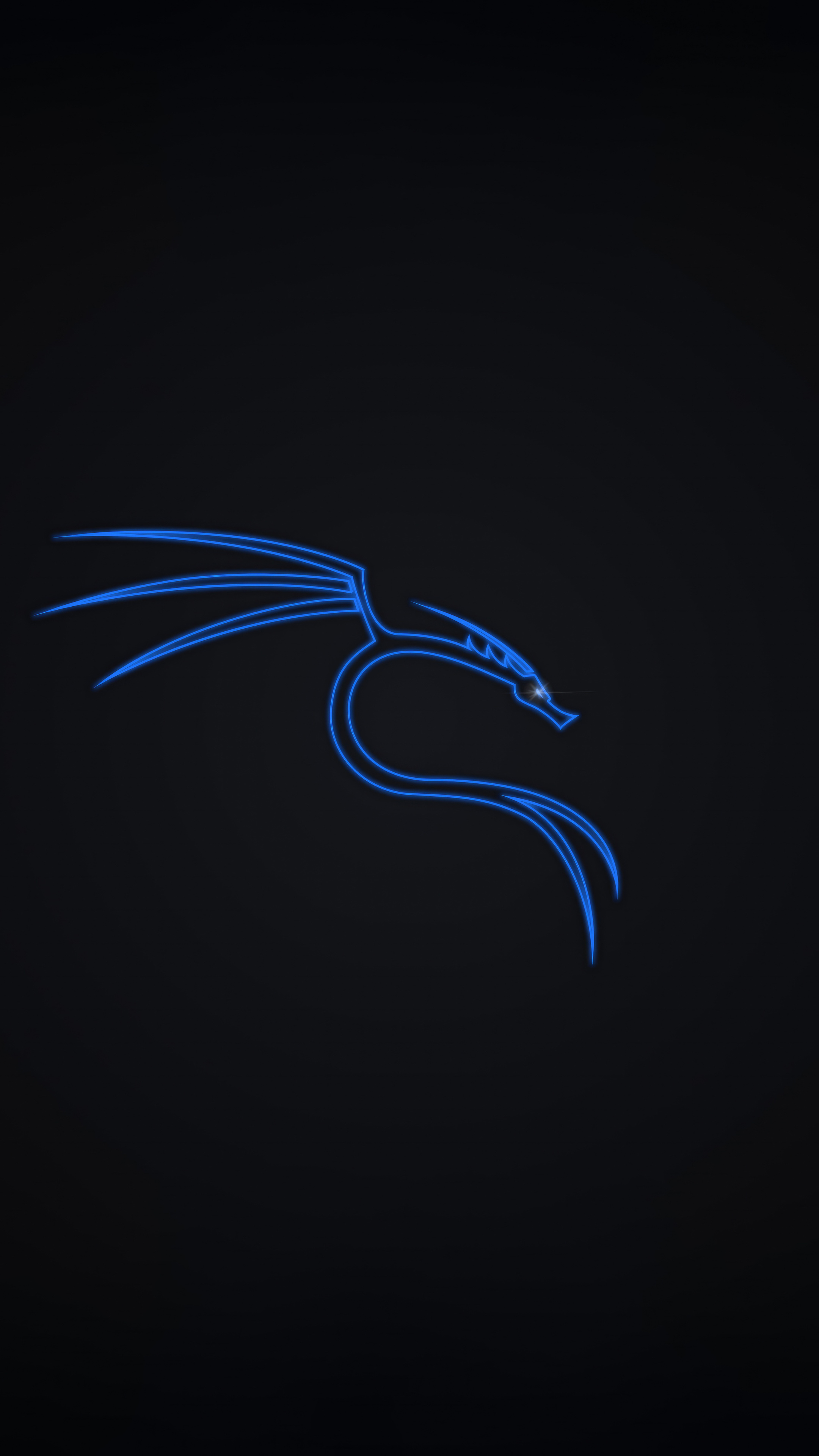 2160x3840 Kali Linux Dragon 5k Sony Xperia X,XZ,Z5 Premium ,HD 4k ...