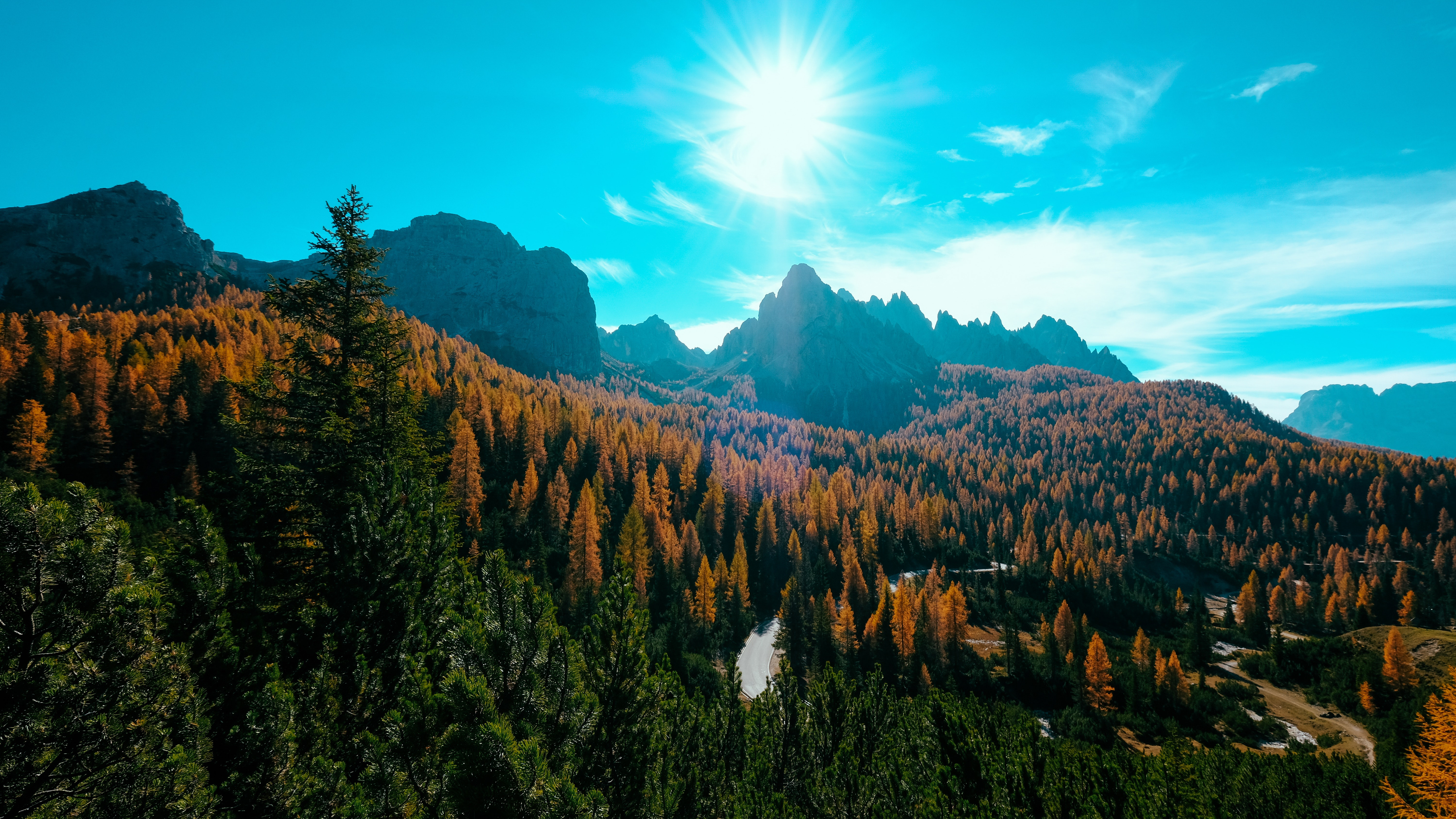 5120x2880 Landscape Trees Nature Forest 5k 5K ,HD 4k Wallpapers,Images ...