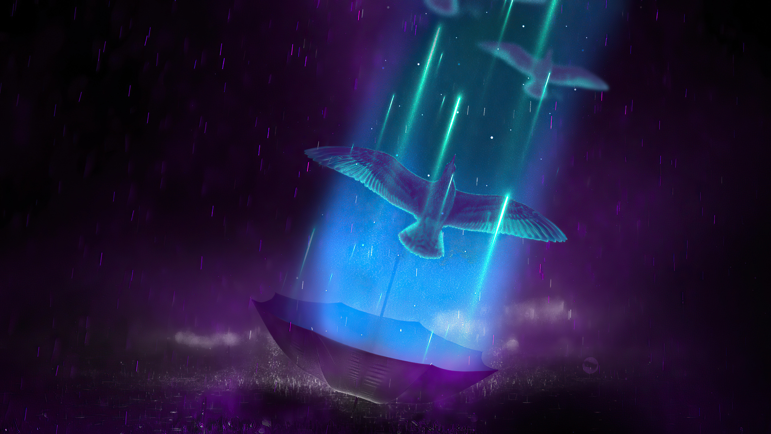 2560x1440 Life Bird Umbrella Rain Night 4k 1440P Resolution ,HD 4k ...