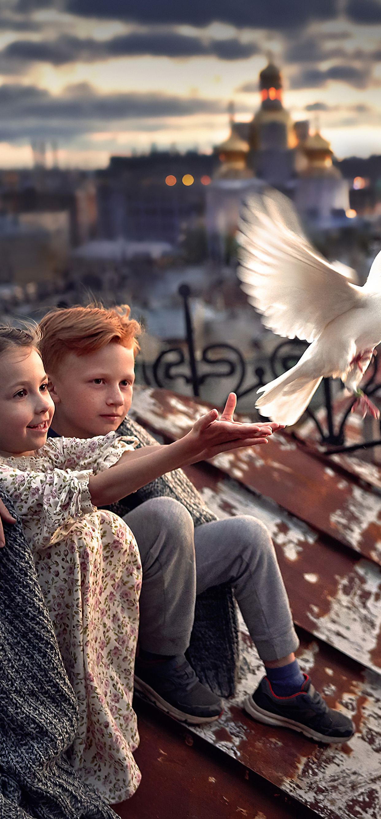 1242x2668 Little Boy And Girl Pigeon Roof 4k Iphone XS MAX ,HD 4k ...