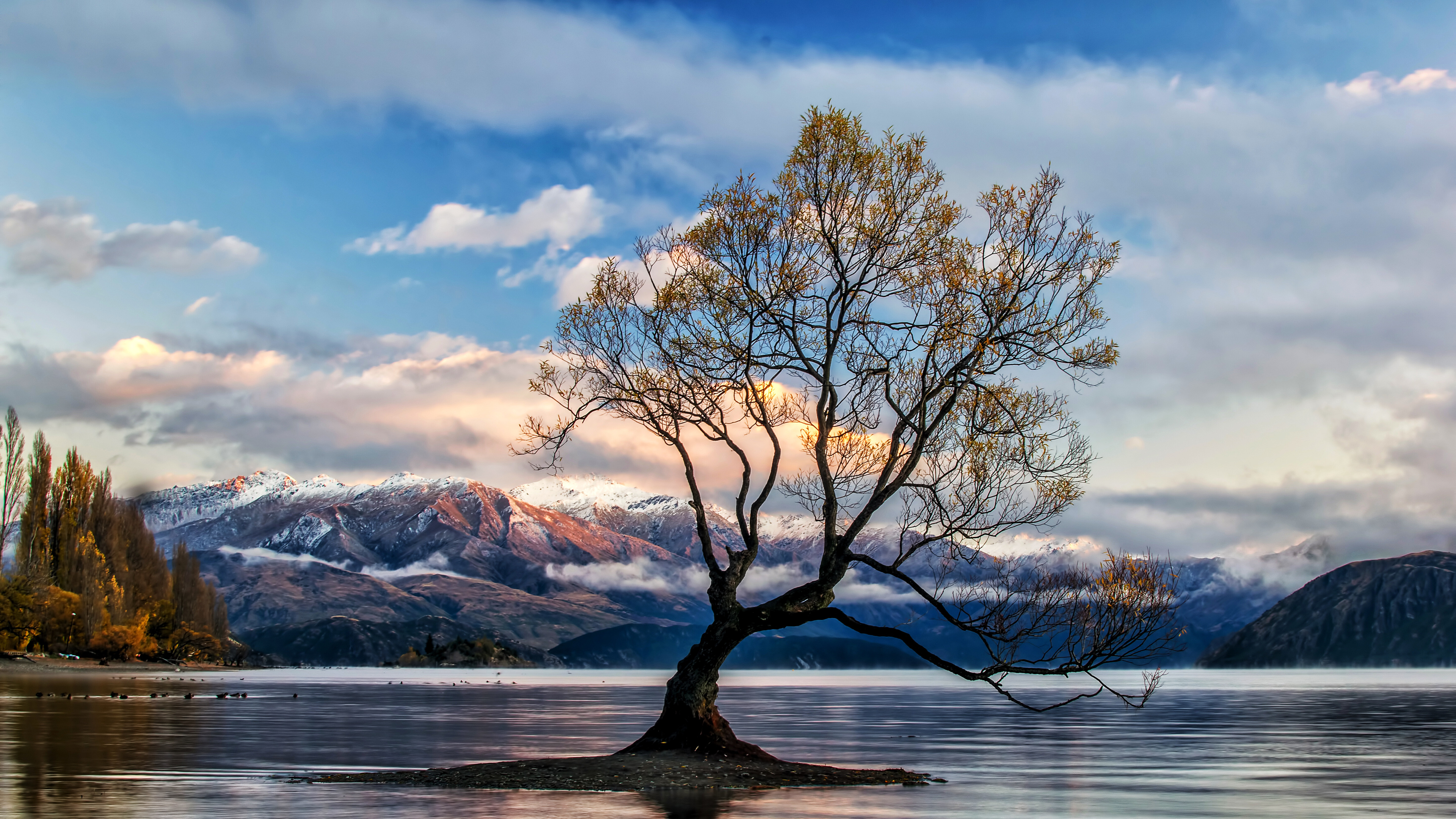 3840x2160 Lone Tree Lake Wanaka 4K ,HD 4k Wallpapers,Images,Backgrounds ...