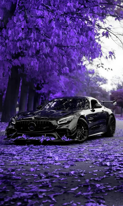 480x800 Mercedes Benz Amg Gtr 2024 Galaxy Note,HTC Desire,Nokia Lumia ...