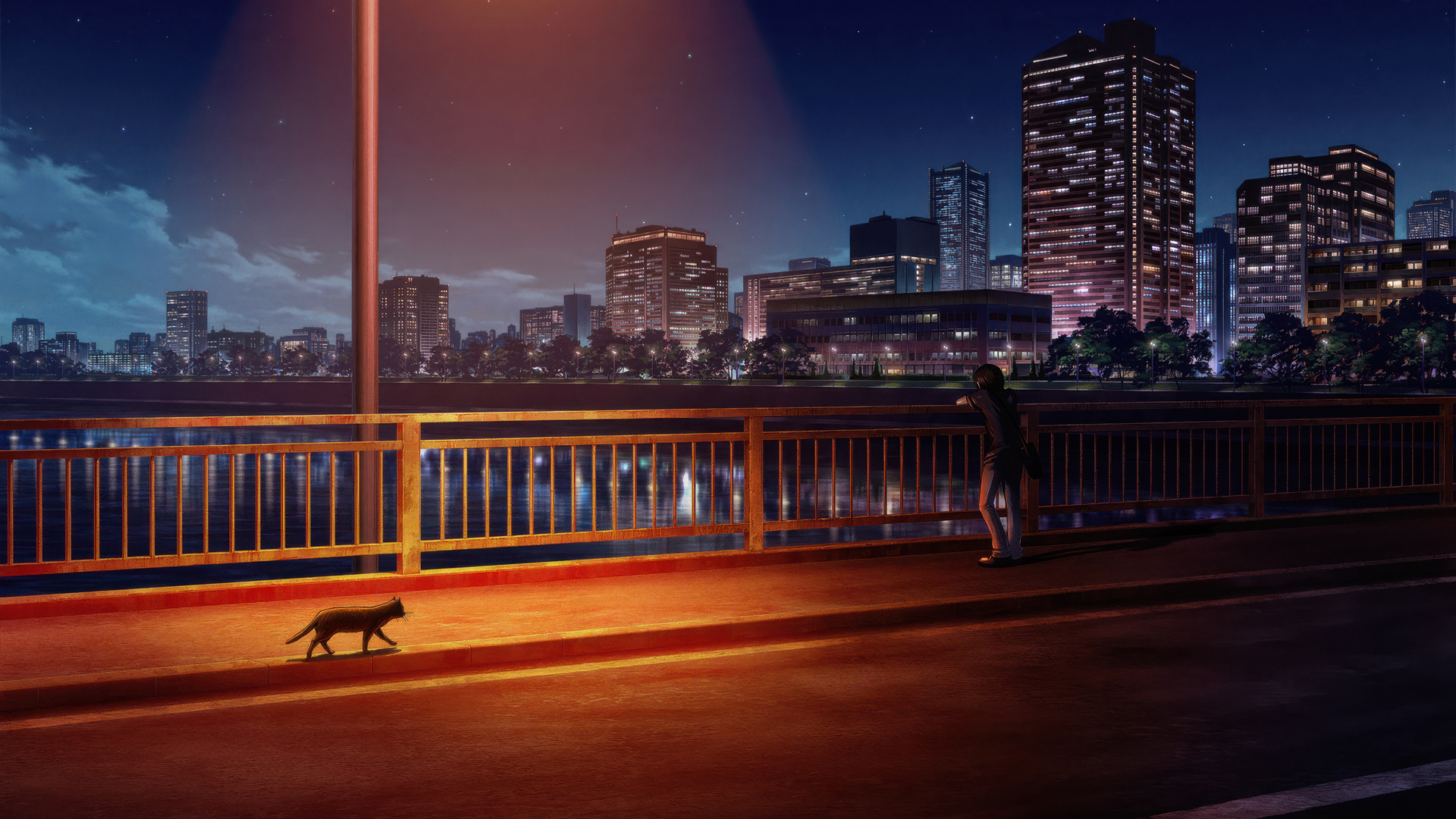 1920x1080 Midnight Cat On The Bridge Laptop Full HD 1080P ,HD 4k ...