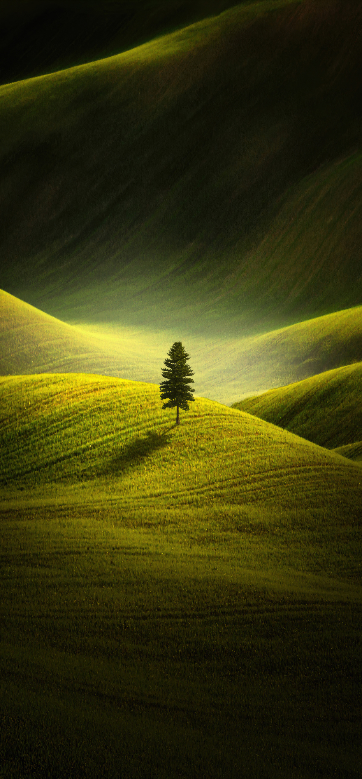 1242x2668 Morning Embrace 4k Iphone XS MAX ,HD 4k Wallpapers,Images ...