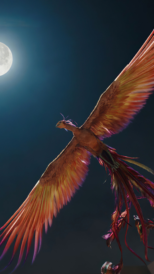 540x960 Mulan Phoenix 5k Wallpaper,540x960 Resolution HD 4k Wallpapers ...