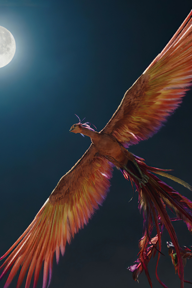 640x960 Mulan Phoenix 5k iPhone 4, iPhone 4S ,HD 4k Wallpapers,Images ...