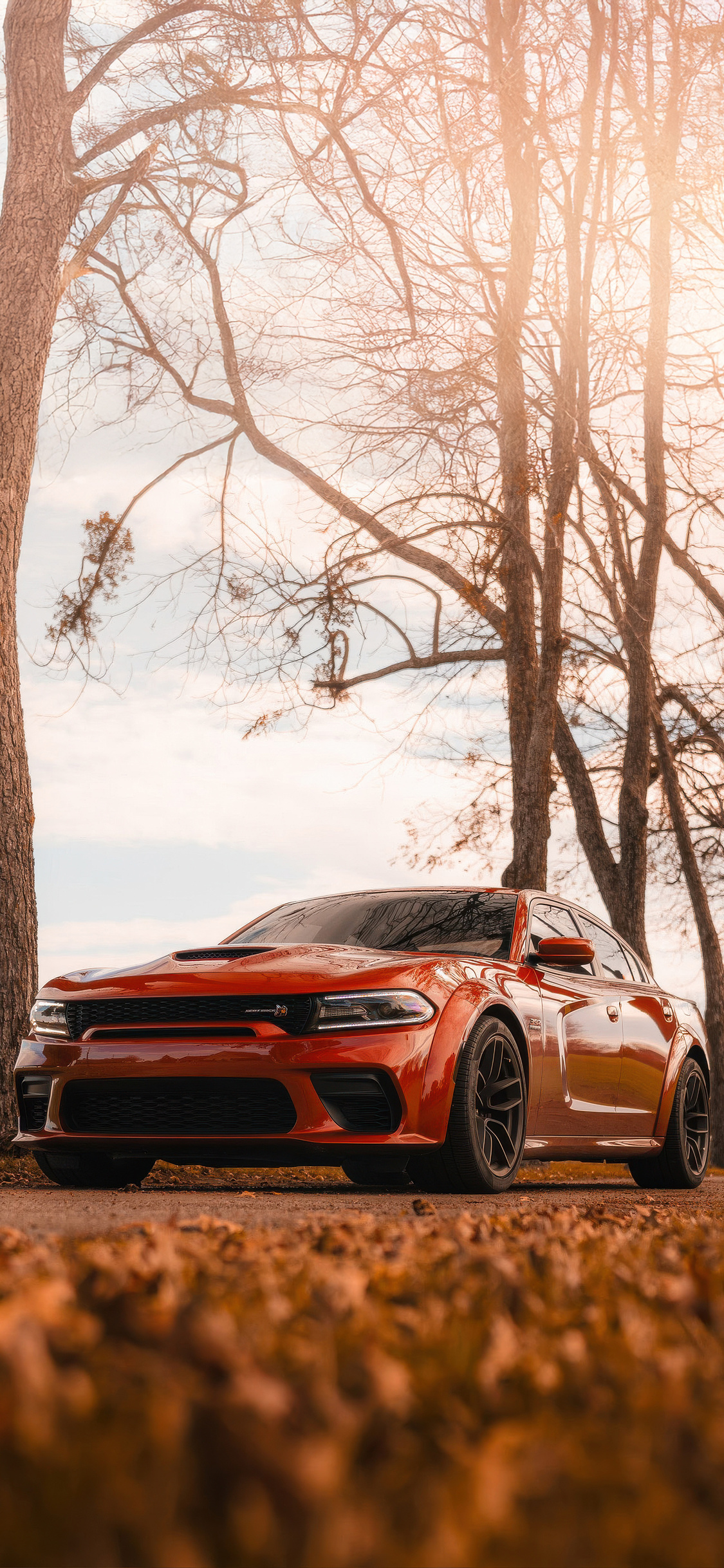 1125x2436 Muscle In Motion Red Dodge Challenger Iphone XS,Iphone 10 ...