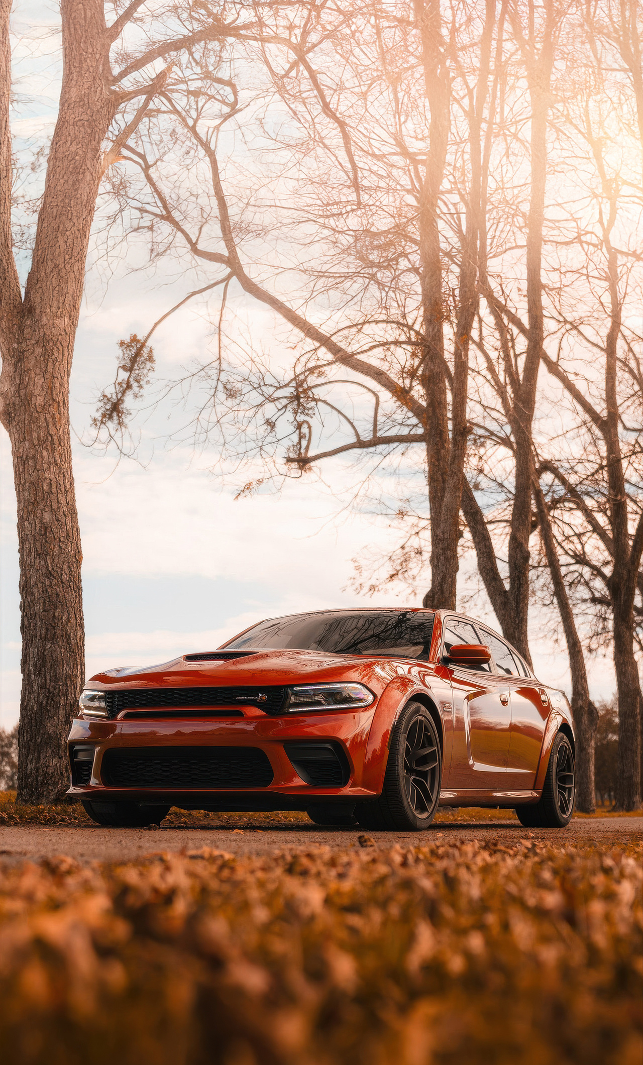 1280x2120 Muscle In Motion Red Dodge Challenger iPhone 6+ ,HD 4k ...