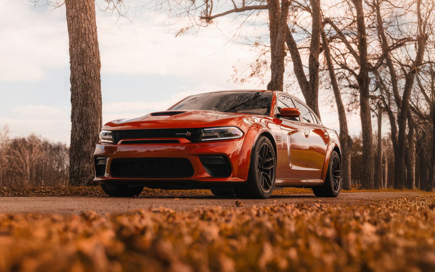 1440x900 Muscle In Motion Red Dodge Challenger Wallpaper,1440x900 ...