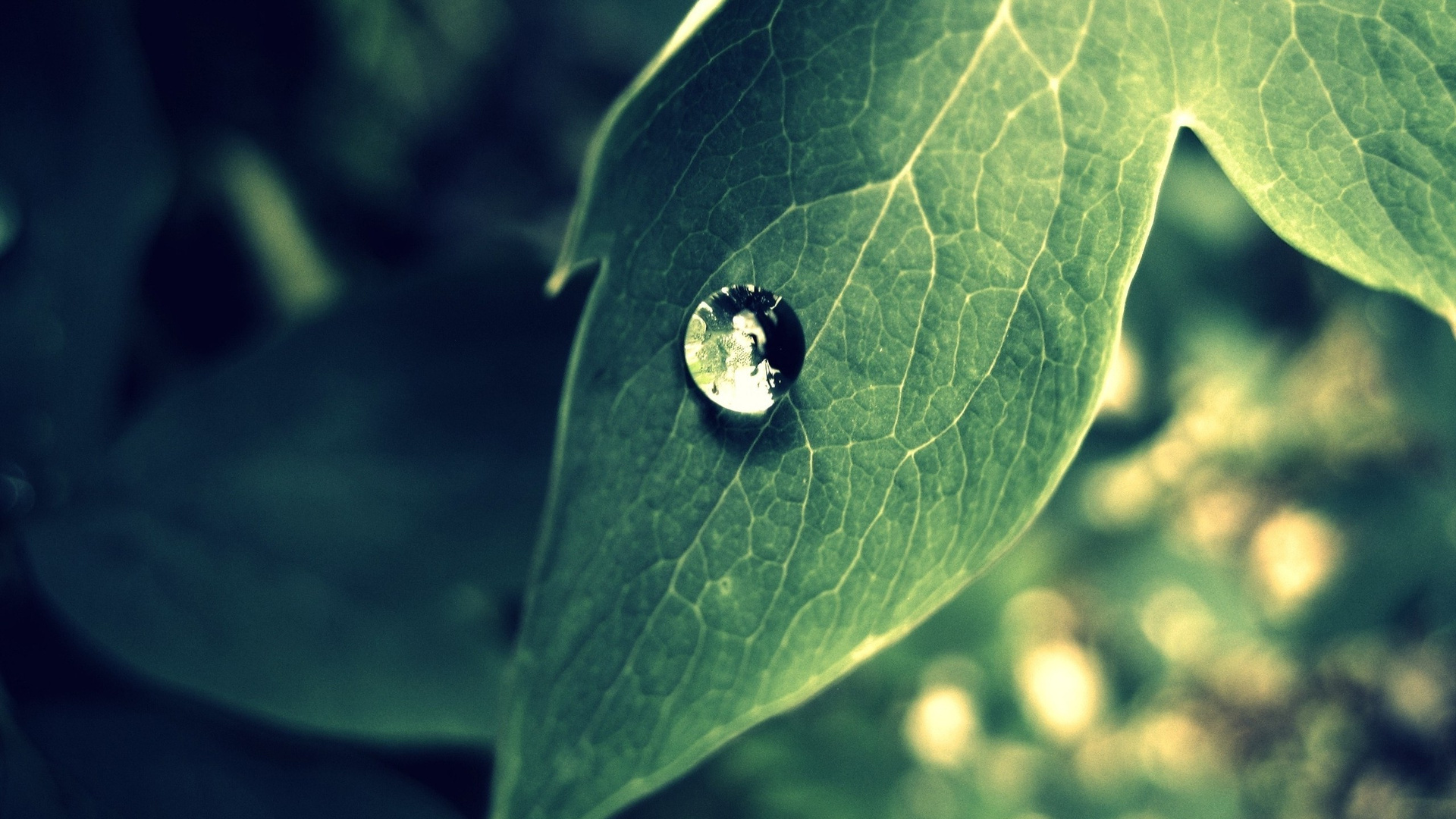 1920x1080 Nature Photography 2 Laptop Full HD 1080P ,HD 4k Wallpapers ...