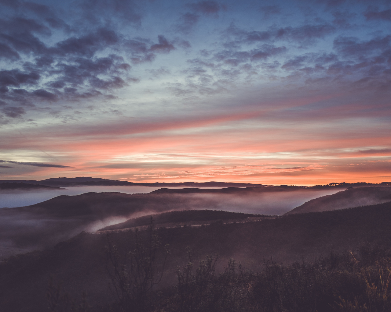 1280x1024 Nature Sky Trees 4k 5k Wallpaper,1280x1024 Resolution HD 4k ...