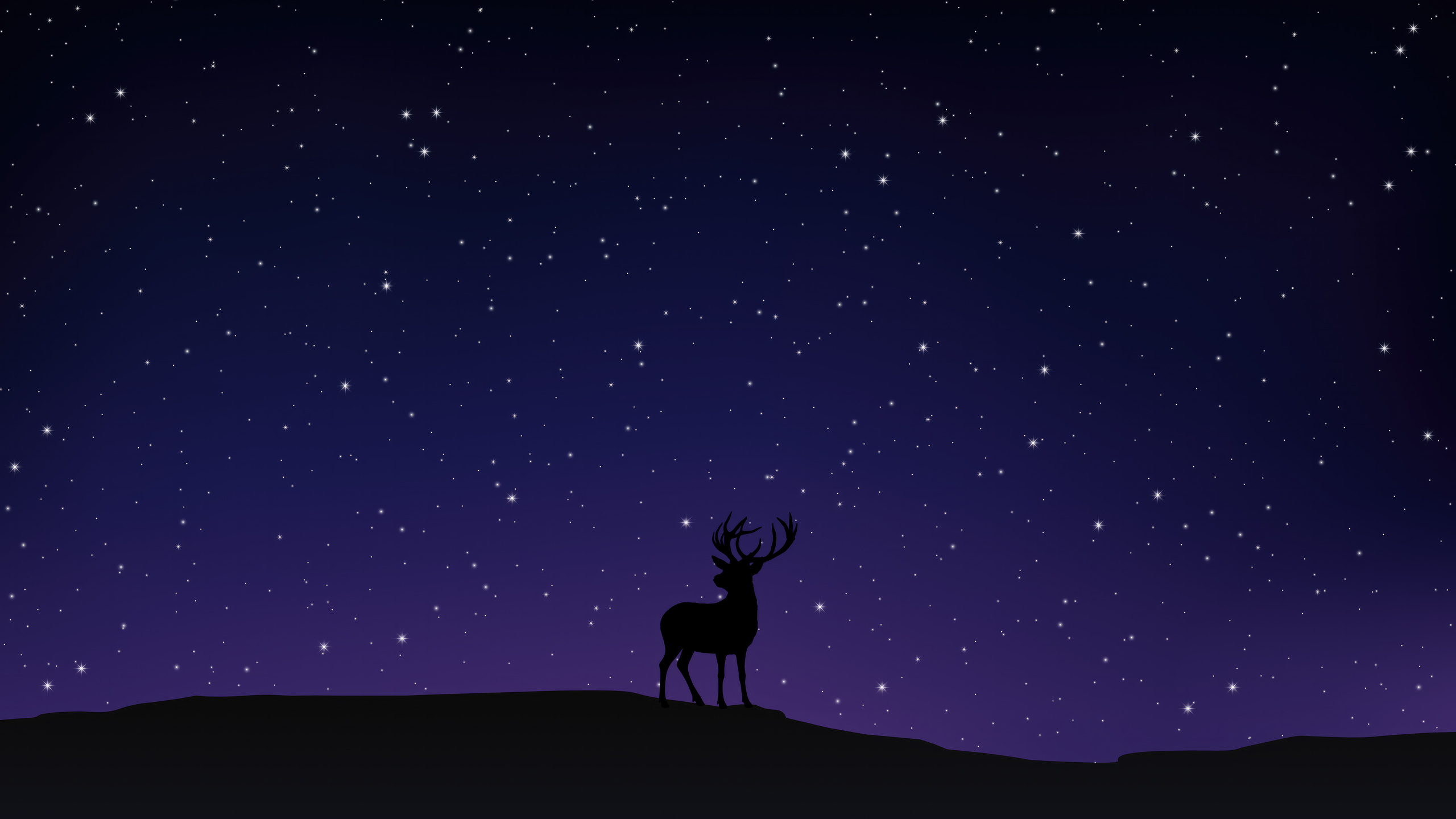 2560x1440 Night Sky And Reindeer 1440P Resolution ,HD 4k Wallpapers ...