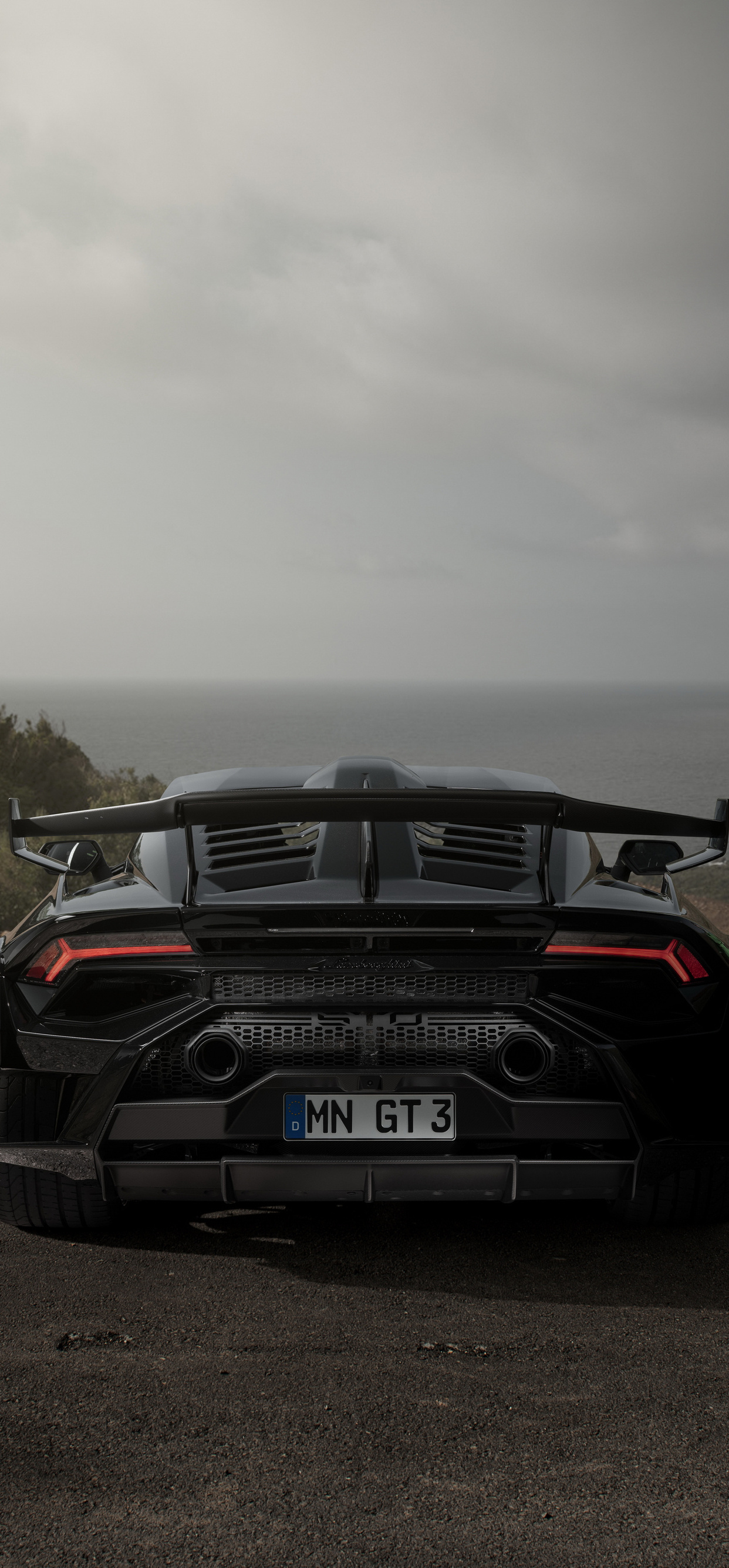 1242x2668 Novitec Lamborghini Huracan STO Rear Iphone XS MAX ,HD 4k ...