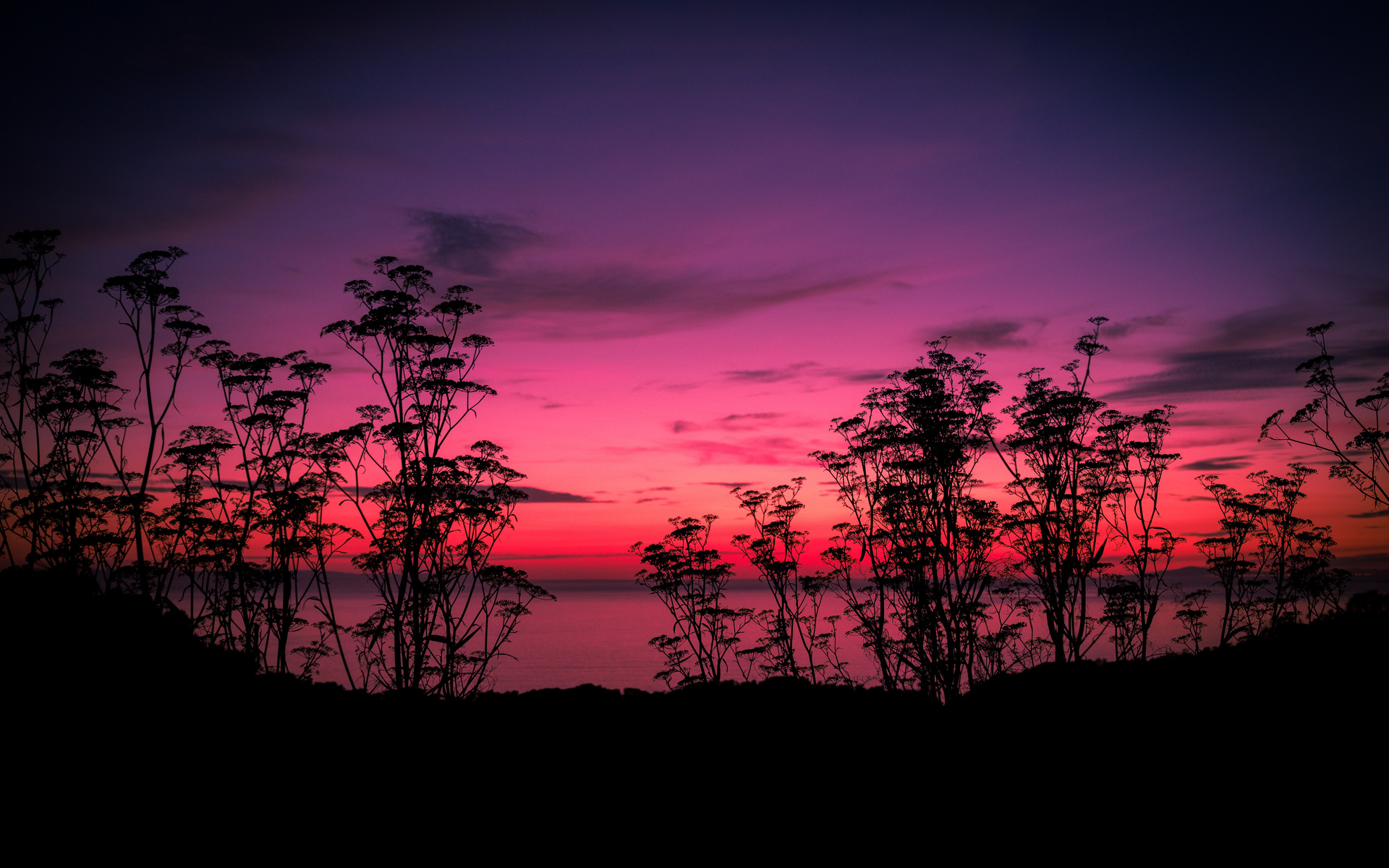 1920x1200 Pink Sunset Lake Side 5k 1080P Resolution ,HD 4k Wallpapers ...
