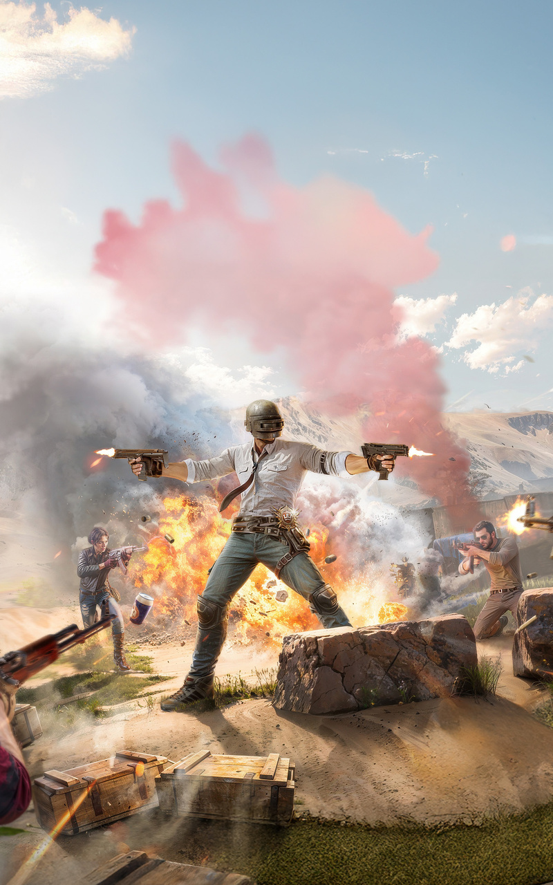 800x1280 Pubg Mobile 4k Game Nexus 7,Samsung Galaxy Tab 10,Note Android ...