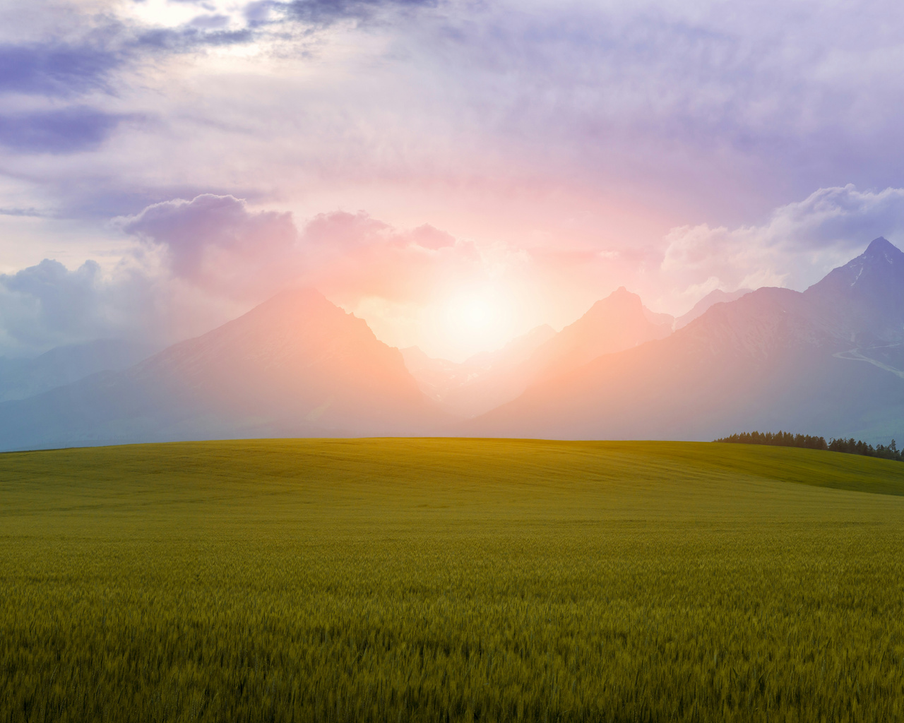 1280x1024 Quiet Countryside Soft Field Landscape Haze Wallpaper,1280x1024 Resolution HD 4k ...