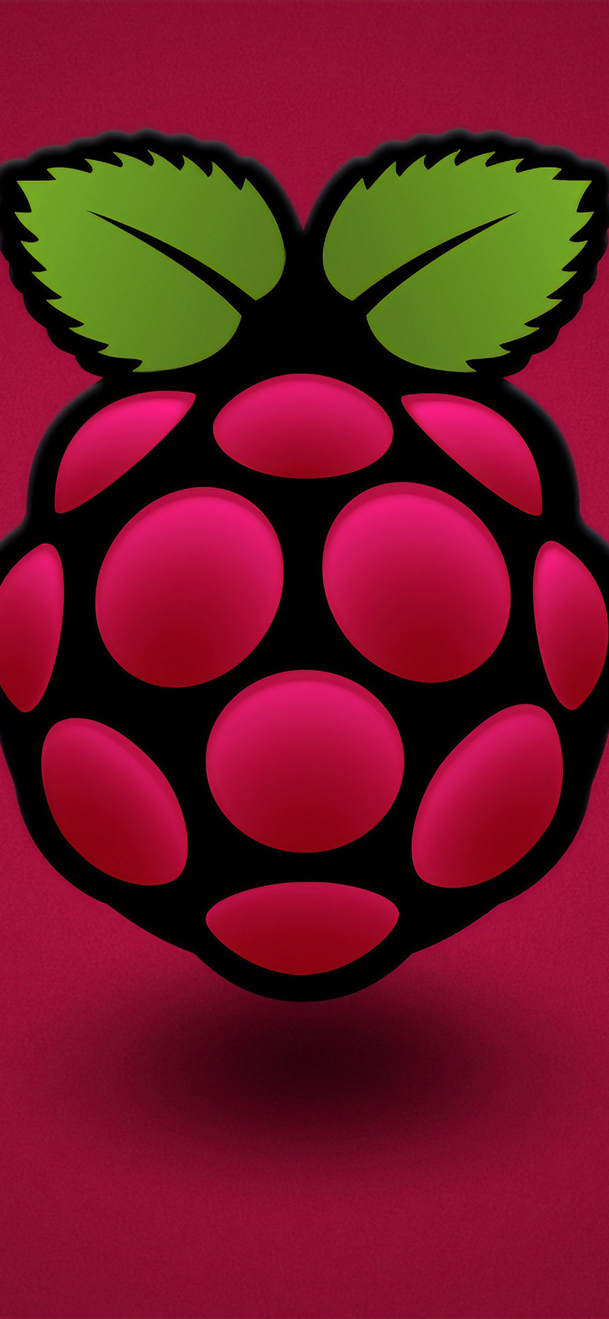 1242x2688 Raspberry Pi 4k Iphone XS MAX HD 4k Wallpapers, Images ...