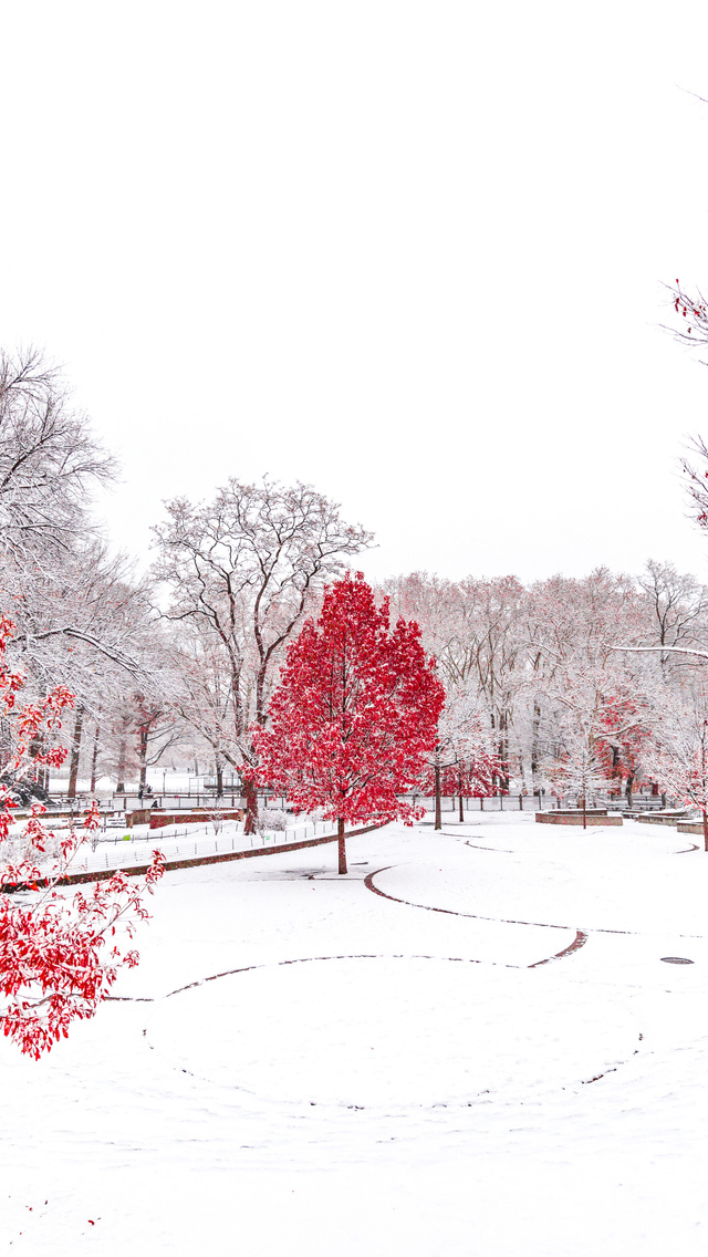 Snow Wallpaper Iphone 5 Hd