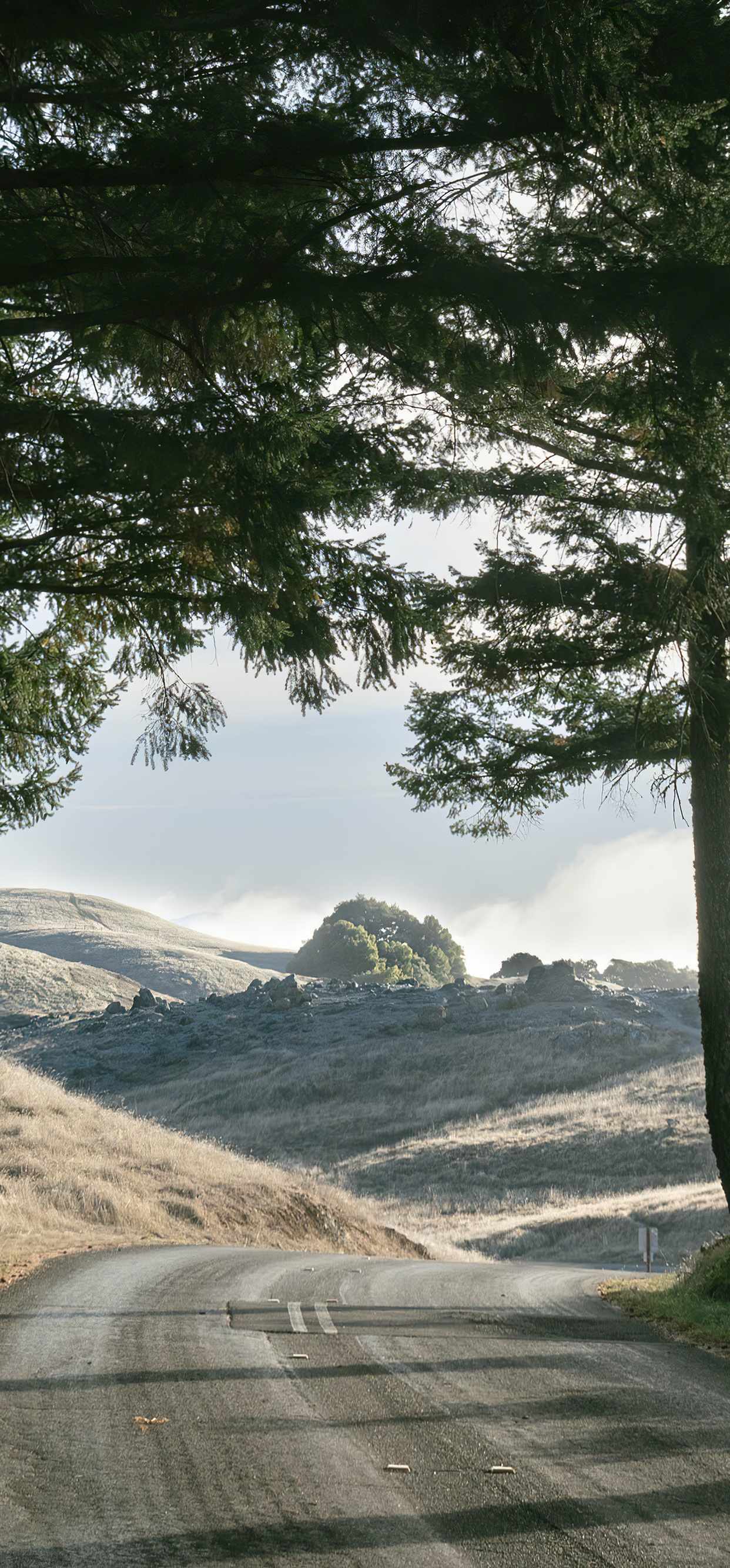 1242x2668 Rock Spring Trailhead Iphone XS MAX ,HD 4k Wallpapers,Images ...