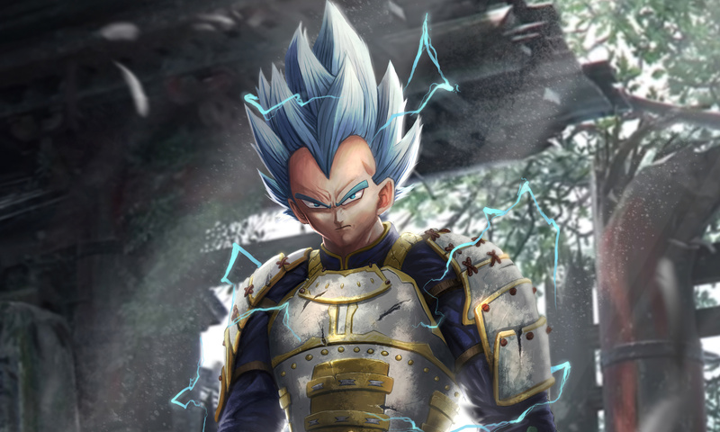 800x480 Samurai Vegeta Dragon Ball 800x480 Resolution HD 4k Wallpapers ...