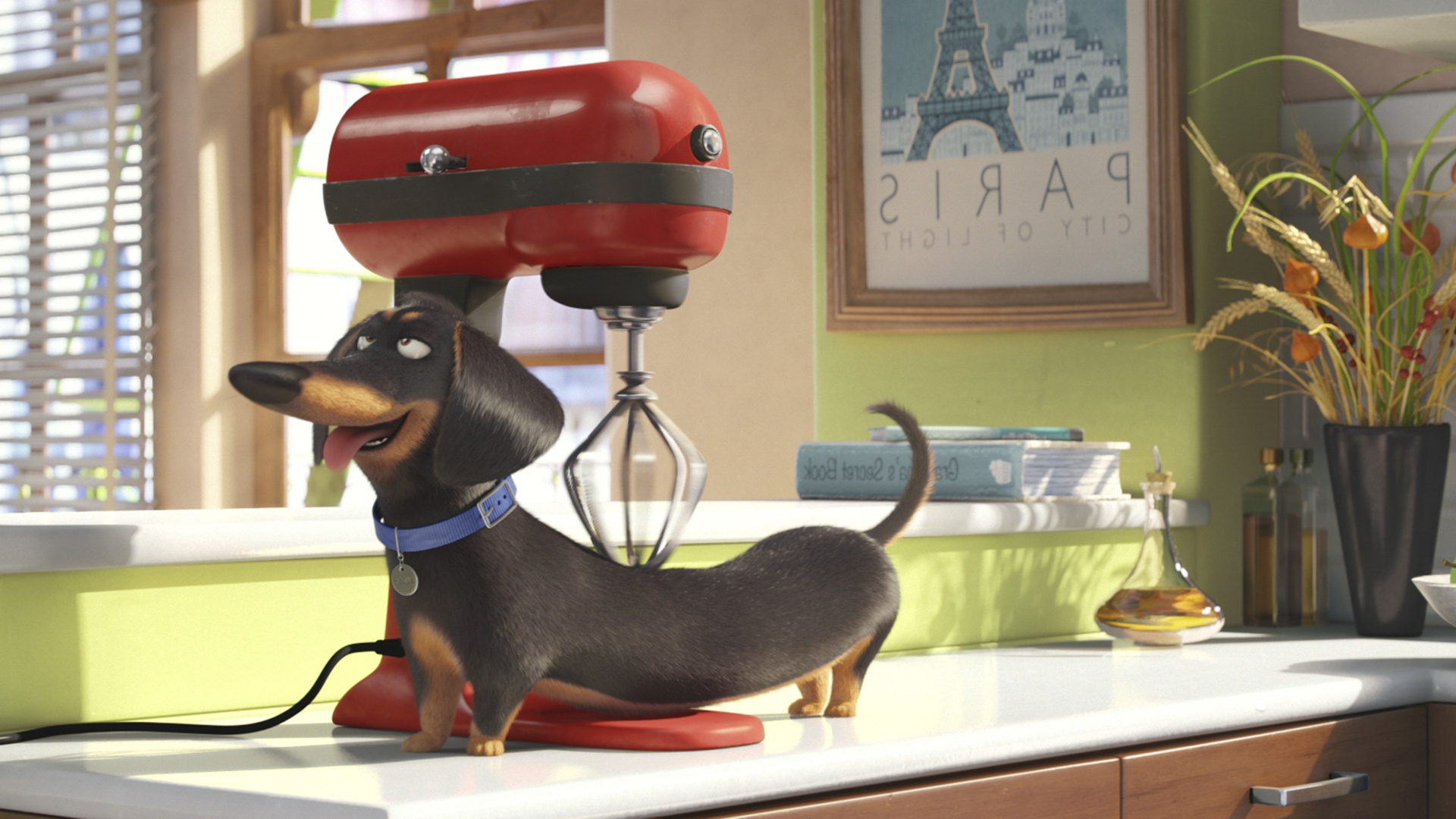 1920x1080 Secrete Life of Pets Movie Laptop Full HD 1080P ,HD 4k ...