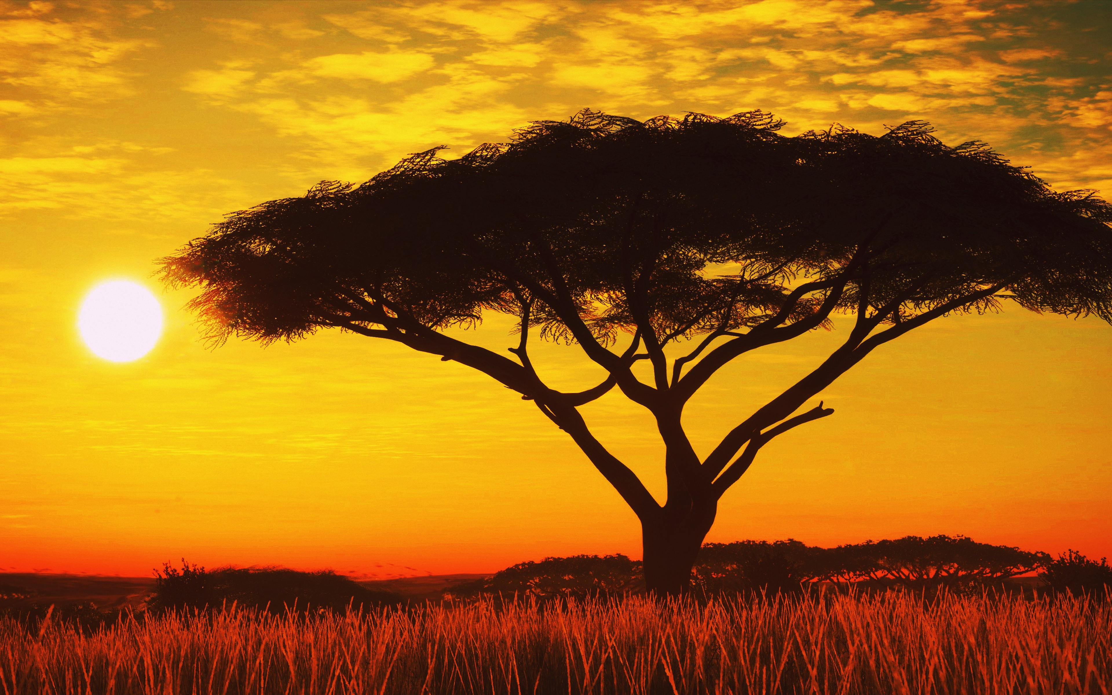 3840x2400 Serengeti Sunset 4k 4K ,HD 4k Wallpapers,Images,Backgrounds ...