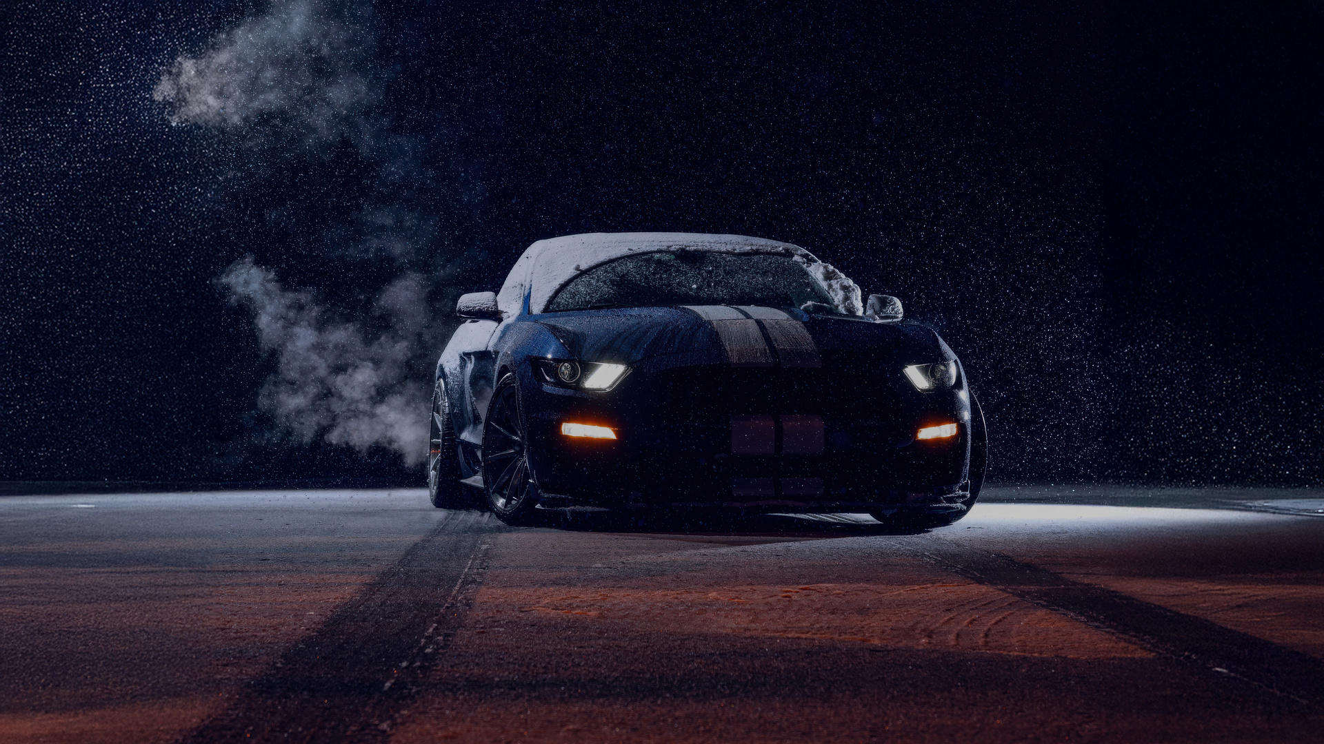 1920x1080 Shelby In The Snow Laptop Full HD 1080P ,HD 4k Wallpapers ...