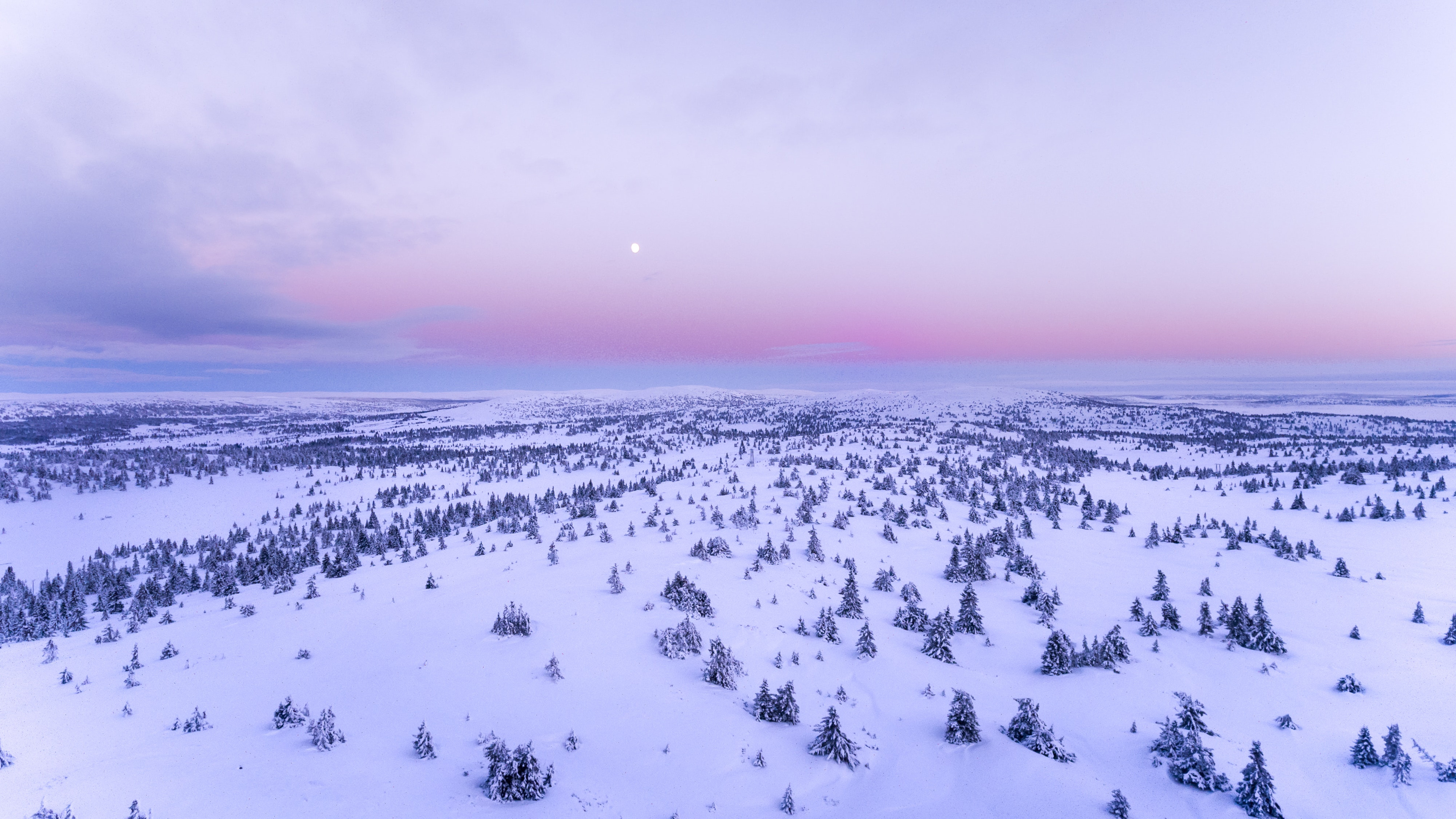 3840x2160 Snow Covered Field 4k 4K ,HD 4k Wallpapers,Images,Backgrounds ...
