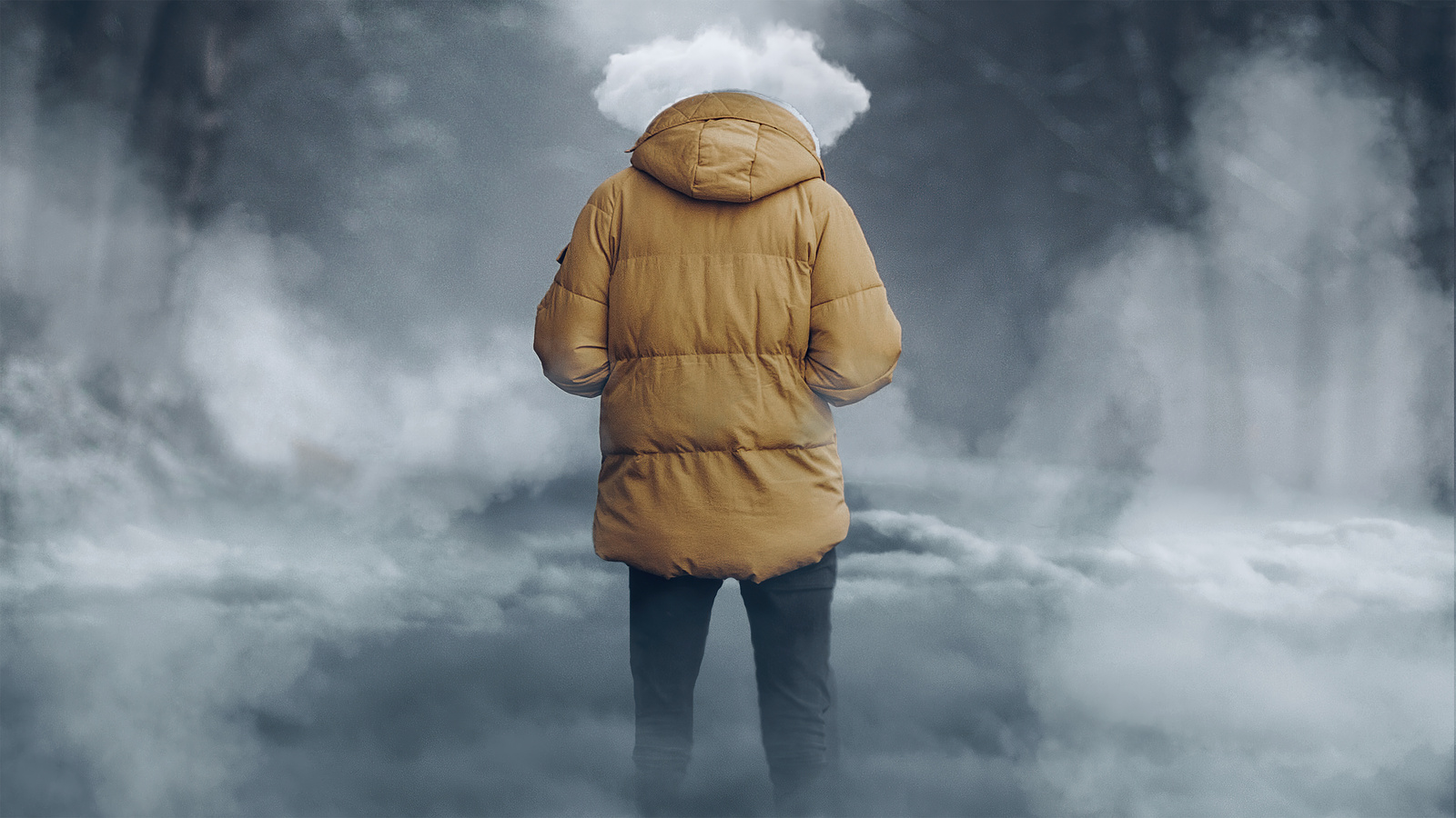 1600x900 Solitary Wallpaper,1600x900 Resolution HD 4k Wallpapers,Images ...