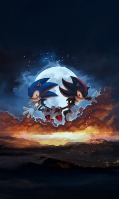 240x400 Sonic X Shadow Hedgehog Acer E100,Huawei,Galaxy S Duos,LG 8575 ...