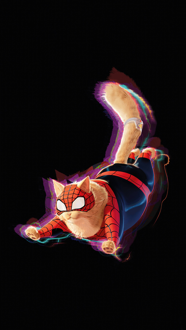 640x1136 Spider Cat In Spiderman Across The Spider Verse 2023 8k iPhone ...