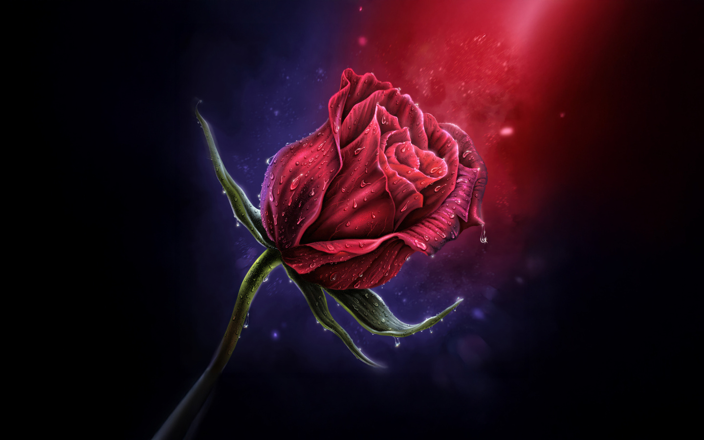 1440x900 Stellar Garden Red Rose Wallpaper,1440x900 Resolution HD 4k ...