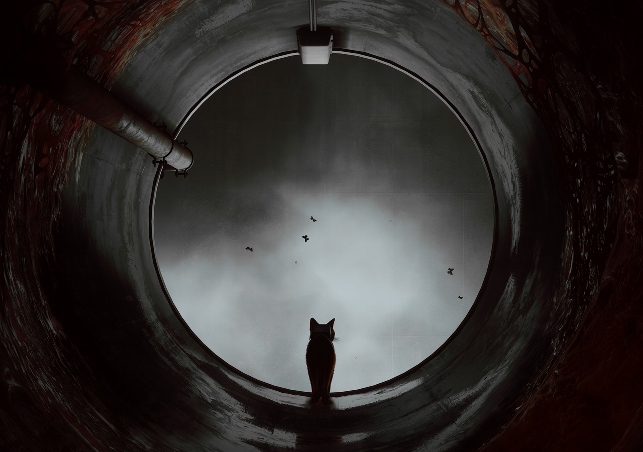 1280x900 Stray Game 1280x900 Resolution HD 4k Wallpapers, Images ...