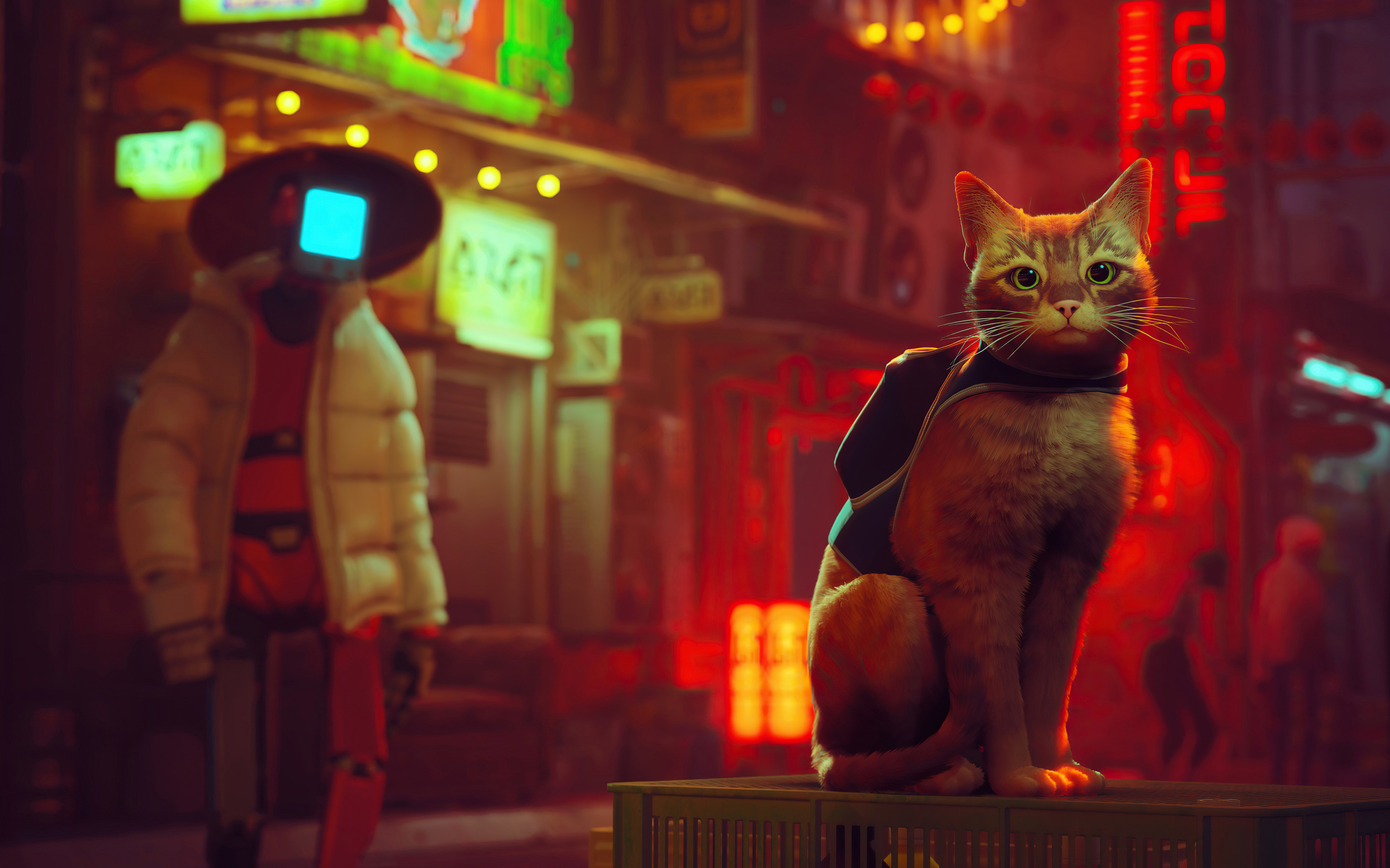 2880x1800 Stray Macbook Pro Retina ,HD 4k Wallpapers,Images,Backgrounds ...