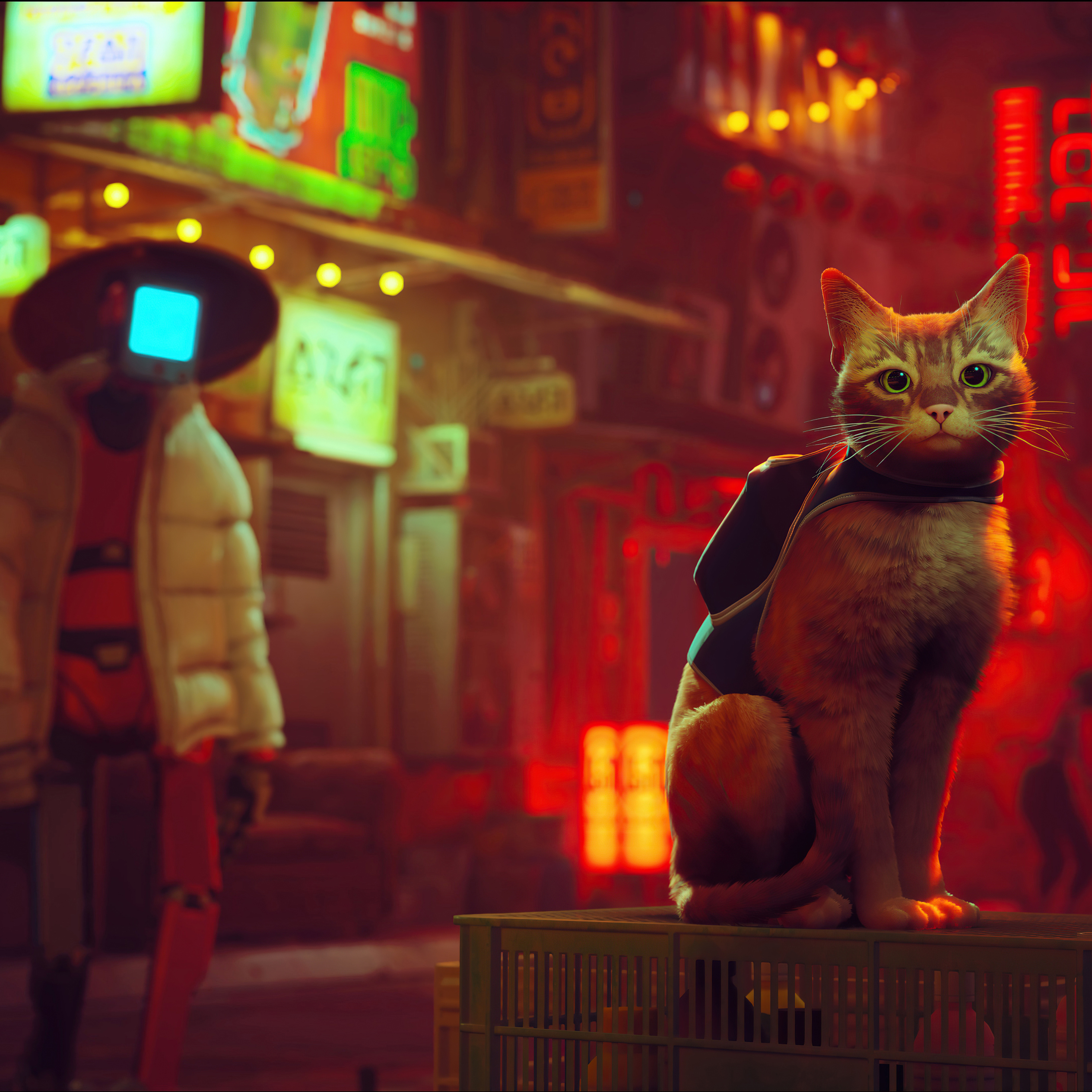 2932x2932 Stray Ipad Pro Retina Display ,HD 4k Wallpapers,Images ...