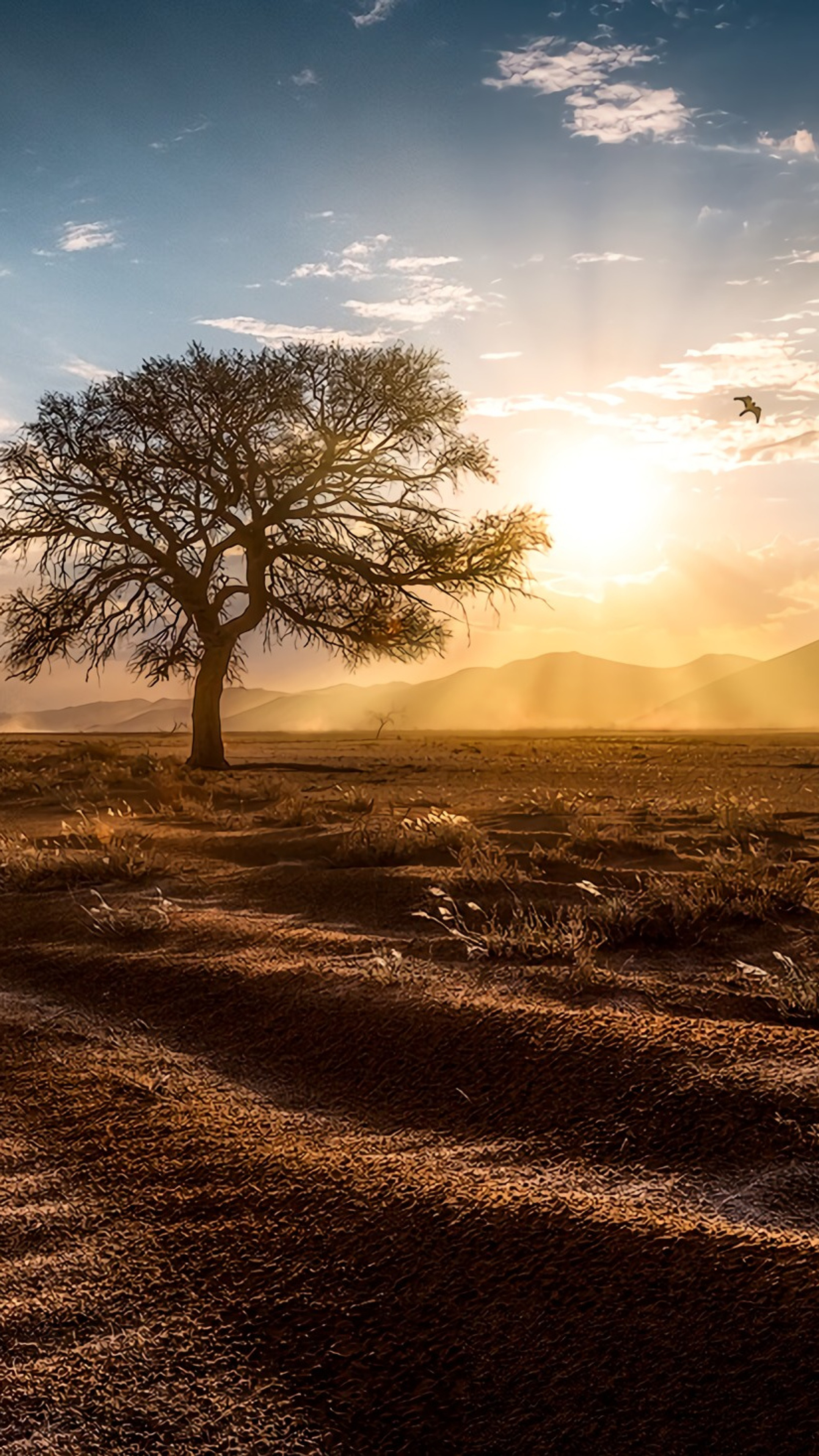 2160x3840 Sun Beams Landscape Sony Xperia X,XZ,Z5 Premium ,HD 4k ...