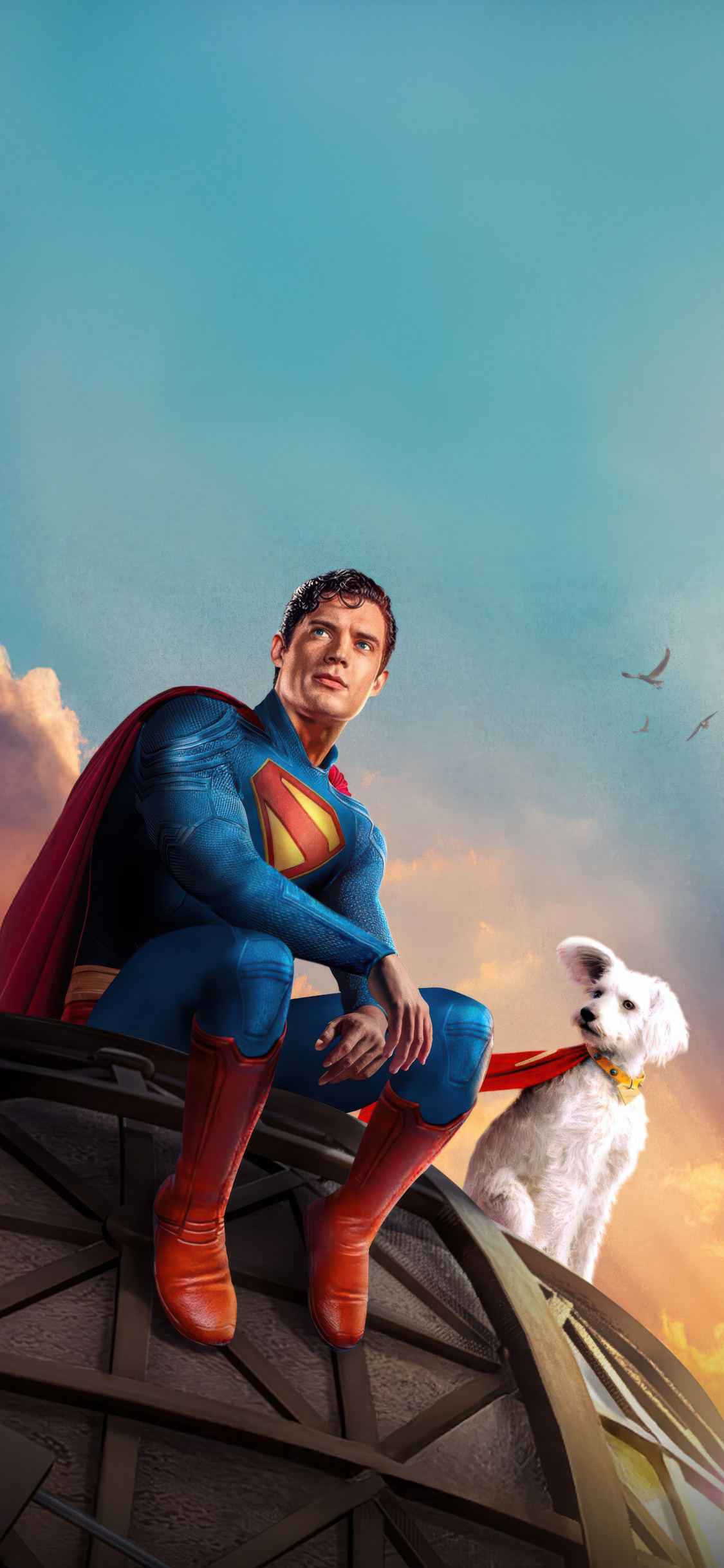1125x2436 Superman Above The Clouds Hero Pet Iphone XS,Iphone 10,Iphone ...