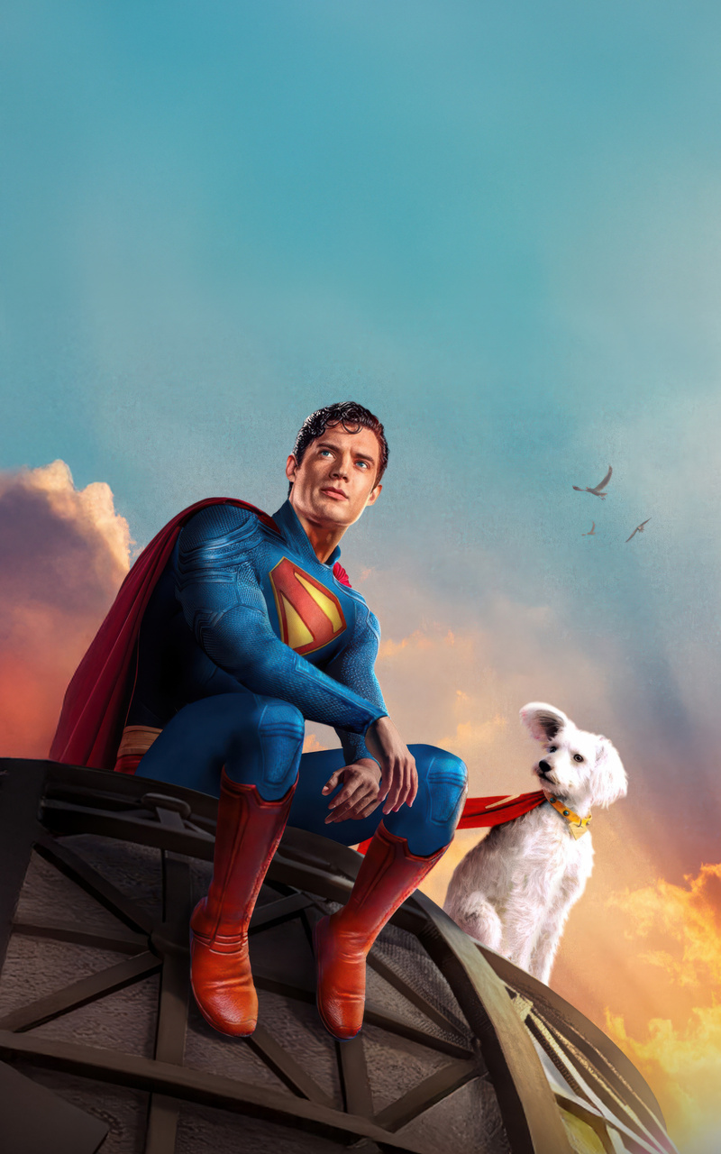 800x1280 Superman Above The Clouds Hero Pet Nexus 7,Samsung Galaxy Tab 10,Note Android Tablets ...