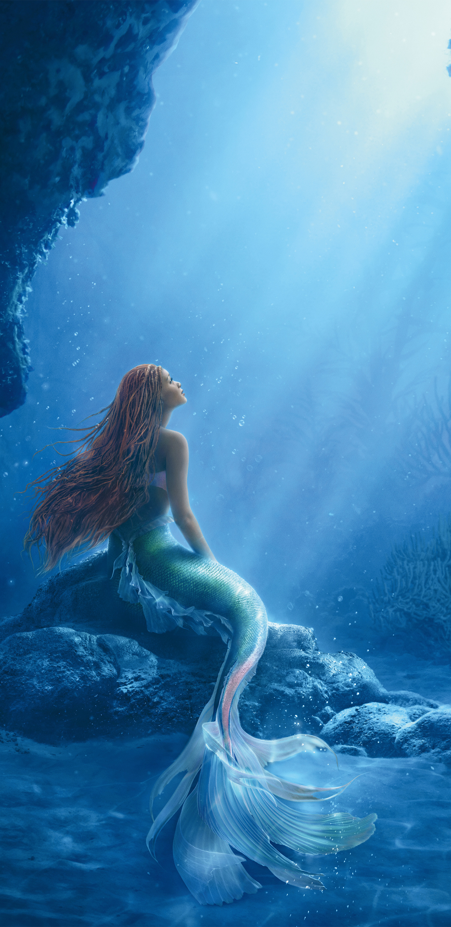 1440x2960 The Little Mermaid 8k Samsung Galaxy Note 9,8, S9,S8,S8+ QHD ,HD 4k Wallpapers,Images ...