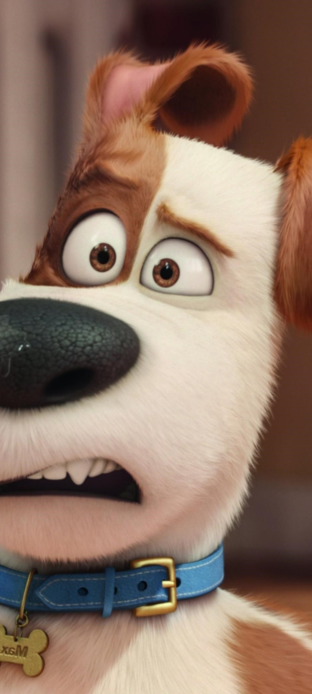 1080x2400 The Secrete Life of Pets Movie HD Google Pixel 7 ,HD 4k ...