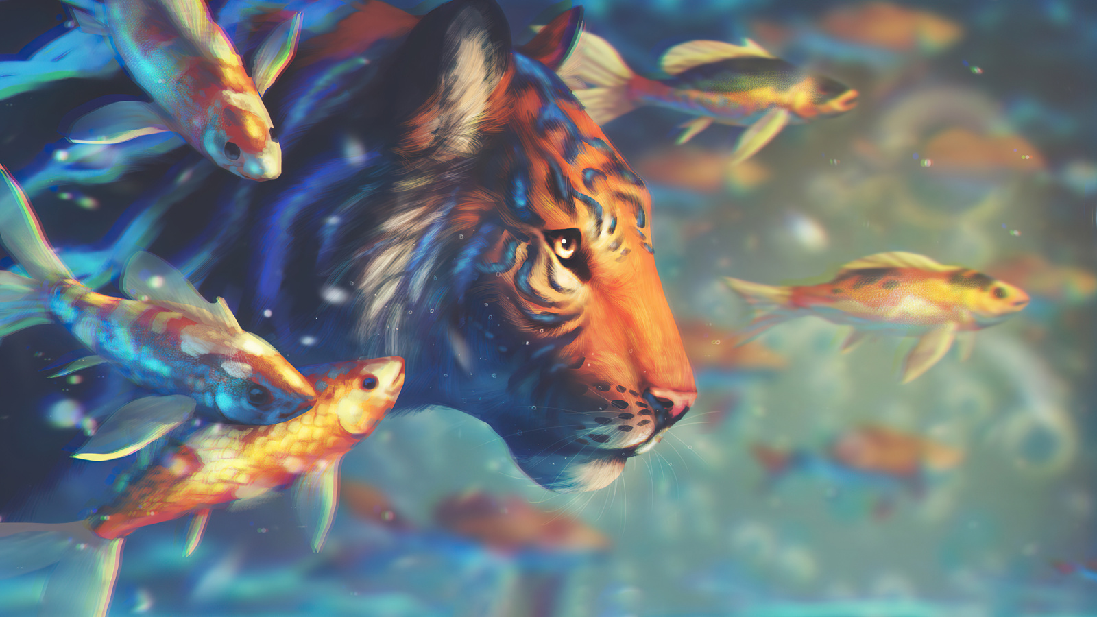 1600x900 Tiger With Fishes Wallpaper,1600x900 Resolution HD 4k ...