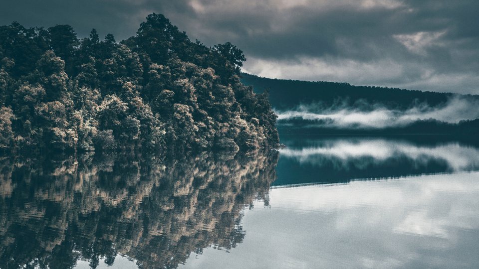 960x540 Trees River Fog Forest 5k 960x540 Resolution HD 4k Wallpapers ...