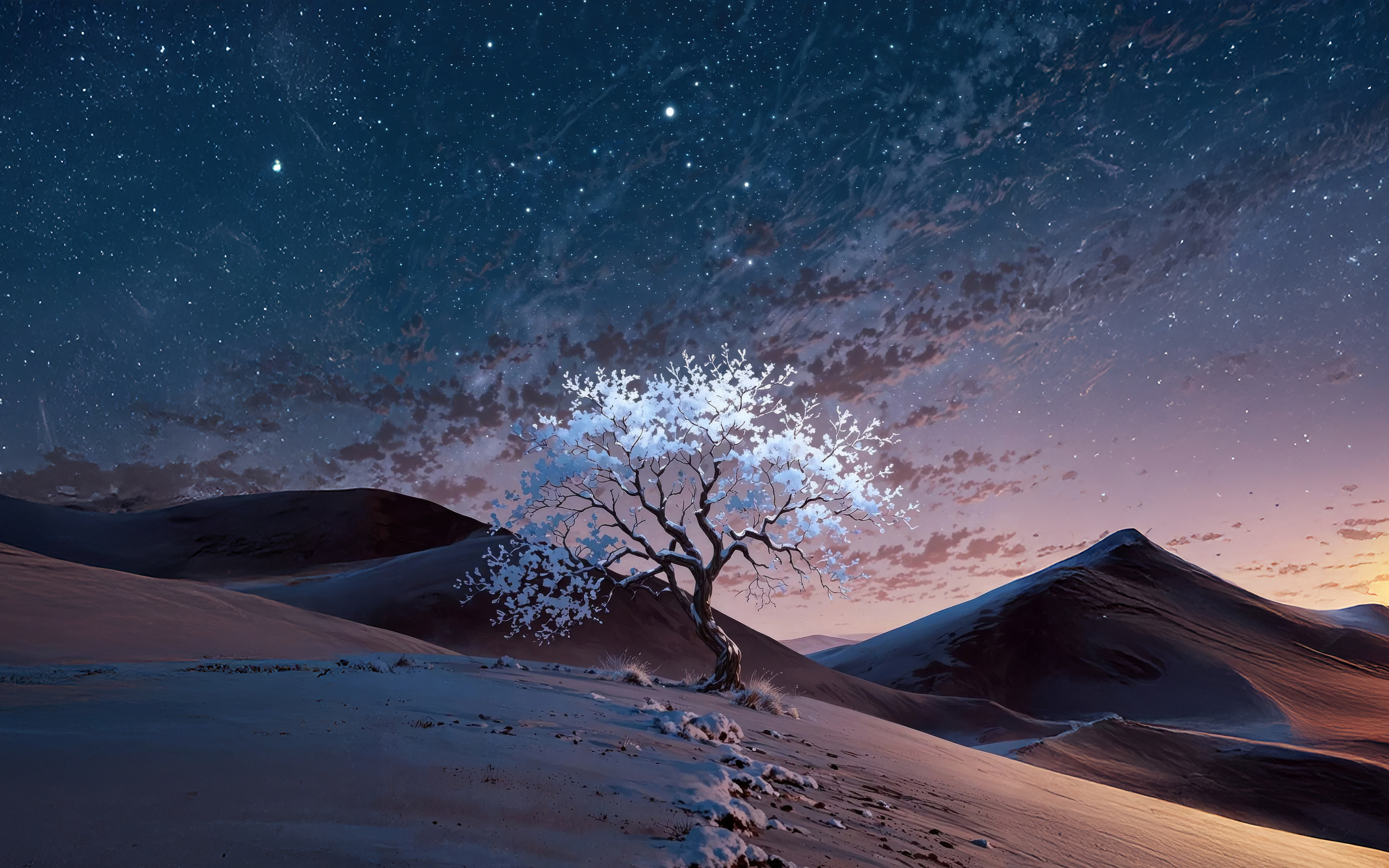 2560x1600 Twilight Bloom In The Dunes Wallpaper,2560x1600 Resolution HD ...