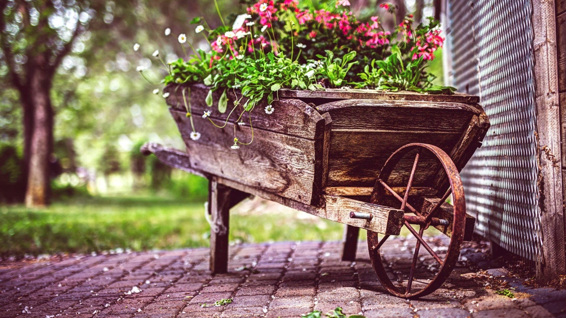 1920x1080 Vintage Flower Pot Laptop Full HD 1080P ,HD 4k Wallpapers ...