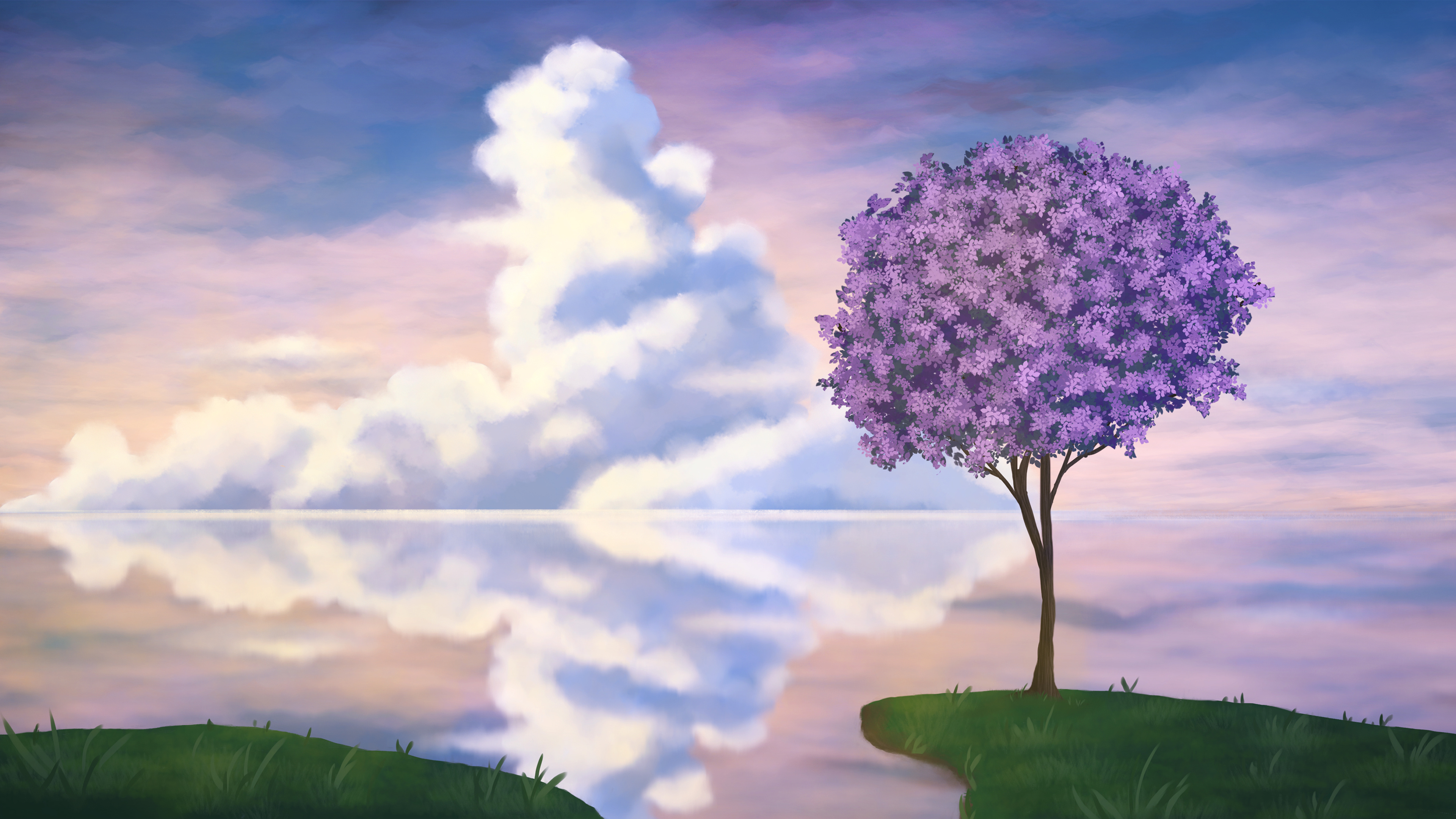 3840x2160 Violet Tree Paradise Reflection 4K ,HD 4k Wallpapers,Images ...