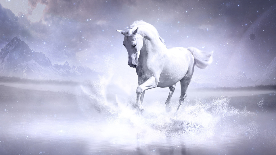 960x540 White Horse 960x540 Resolution HD 4k Wallpapers, Images ...