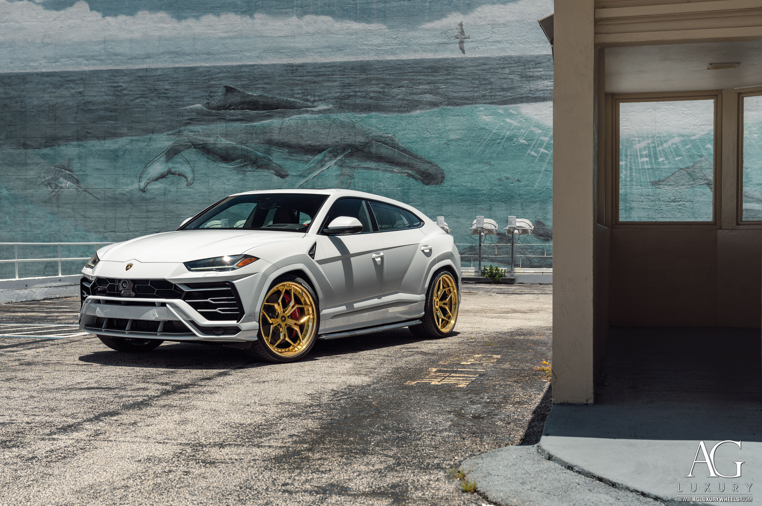 2560x1700 White Lamborghini Urus 8k Chromebook Pixel HD 4k Wallpapers ...