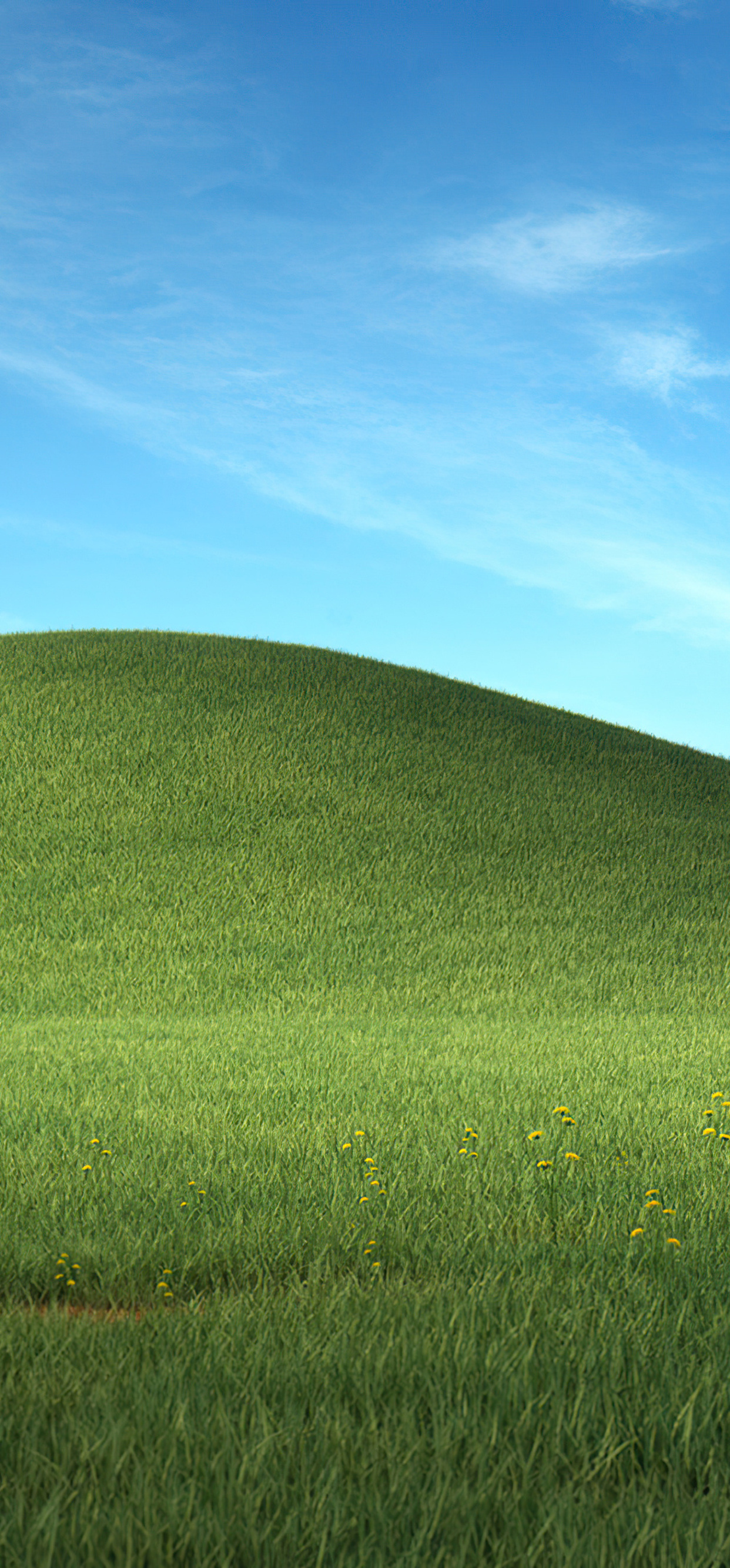 1242x2668 Windows Nostalgia Bliss 4k Iphone XS MAX ,HD 4k Wallpapers ...