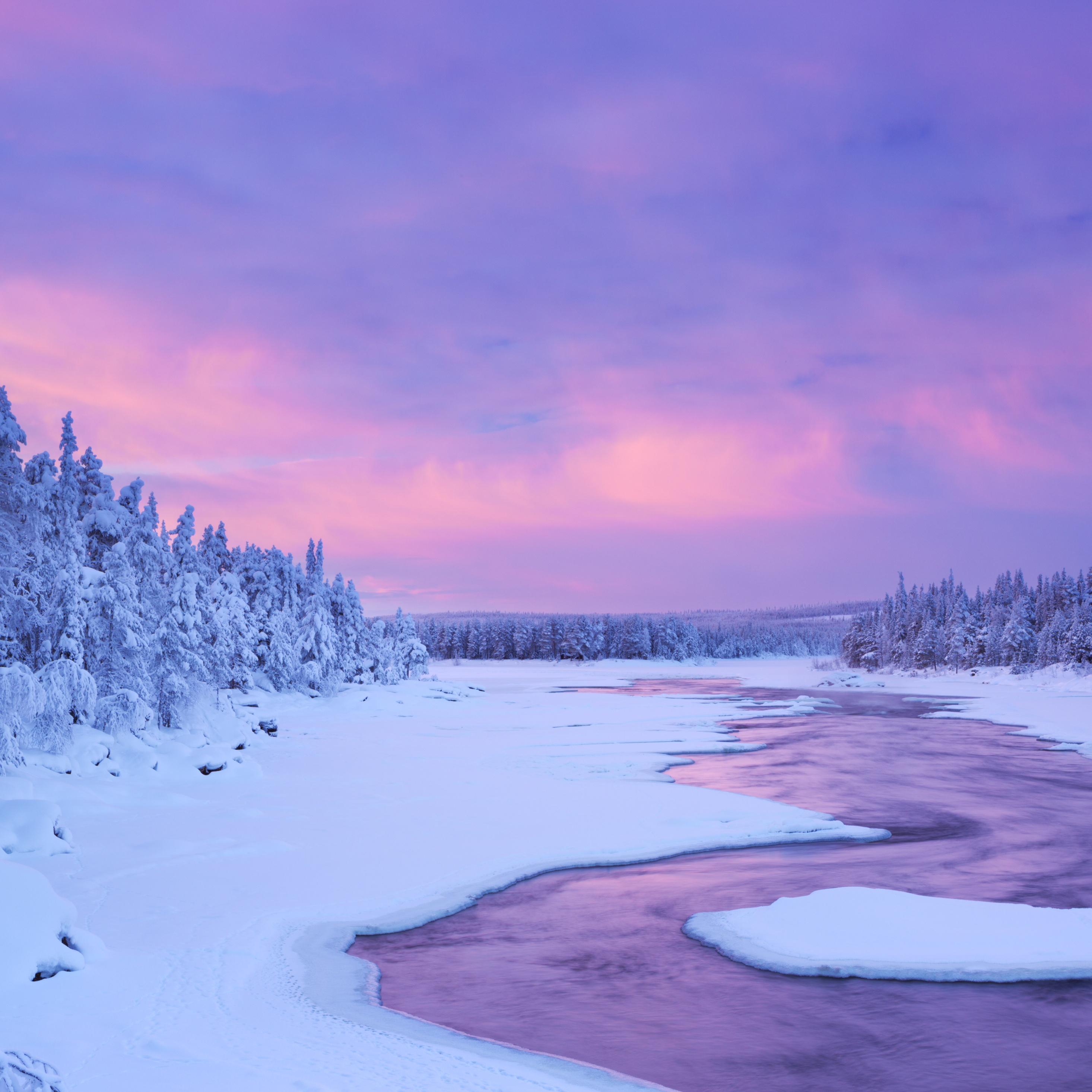 2932x2932 Winter 5k Ipad Pro Retina Display ,HD 4k Wallpapers,Images ...